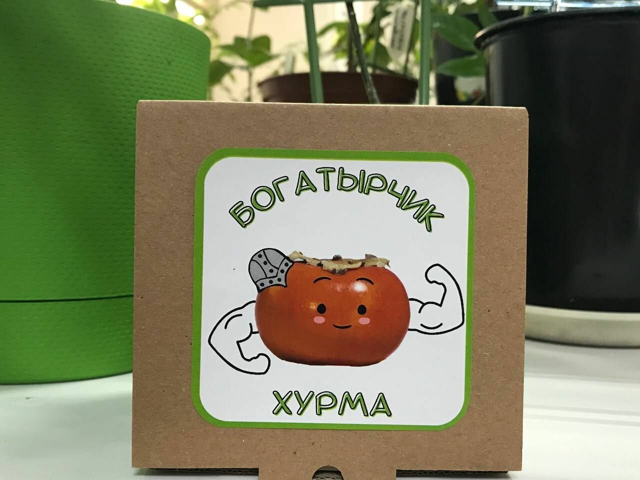 Хурма. Набор для выращивания растений "Богатырчик Хурма"