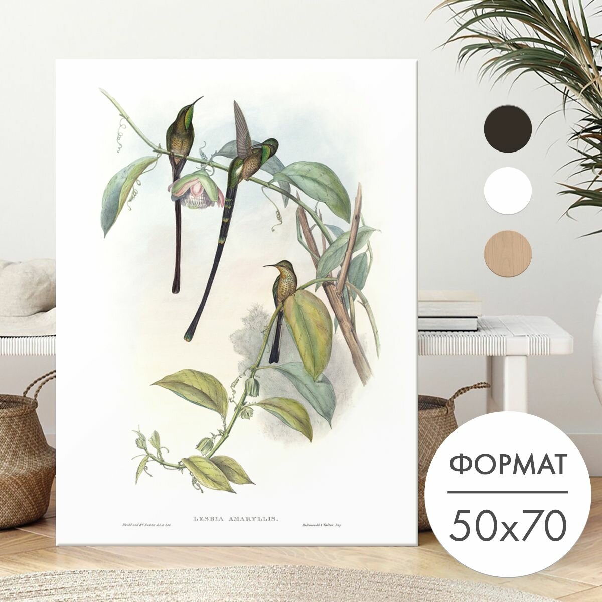 Постер 50х70 без рамки "Птицы на ветке" для интерьера