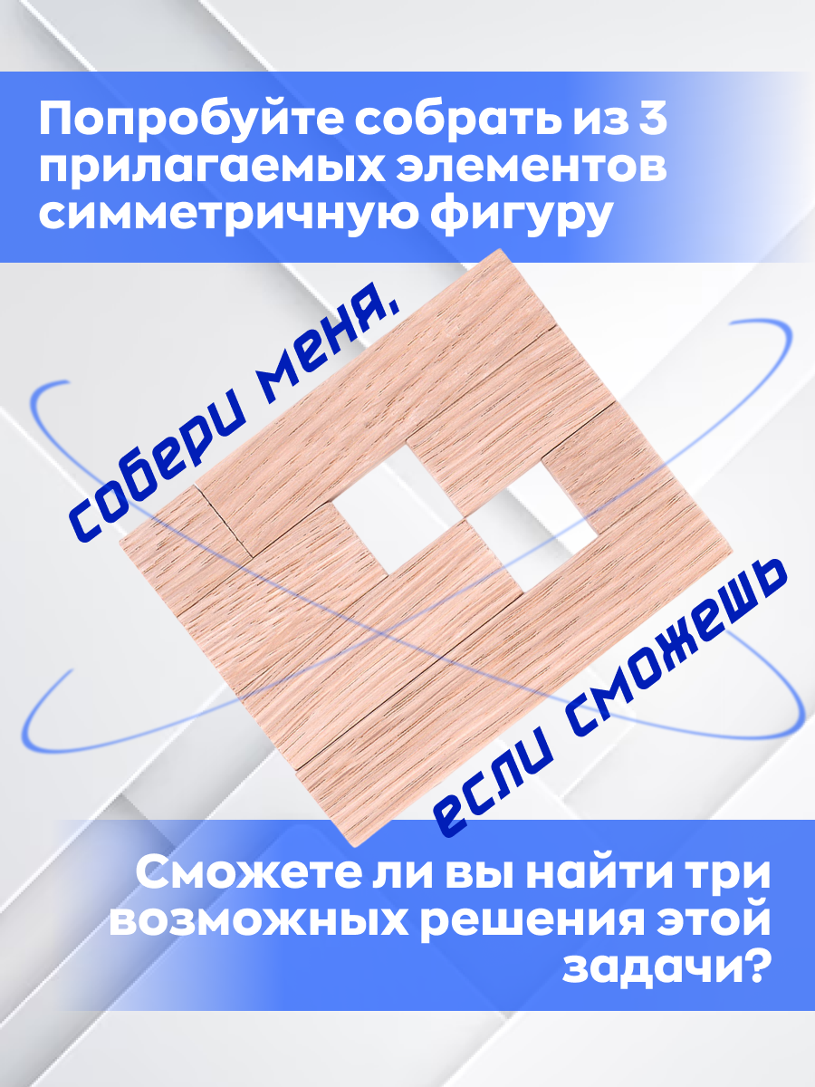 Головоломка "СИМ" (дерево) — фото 1