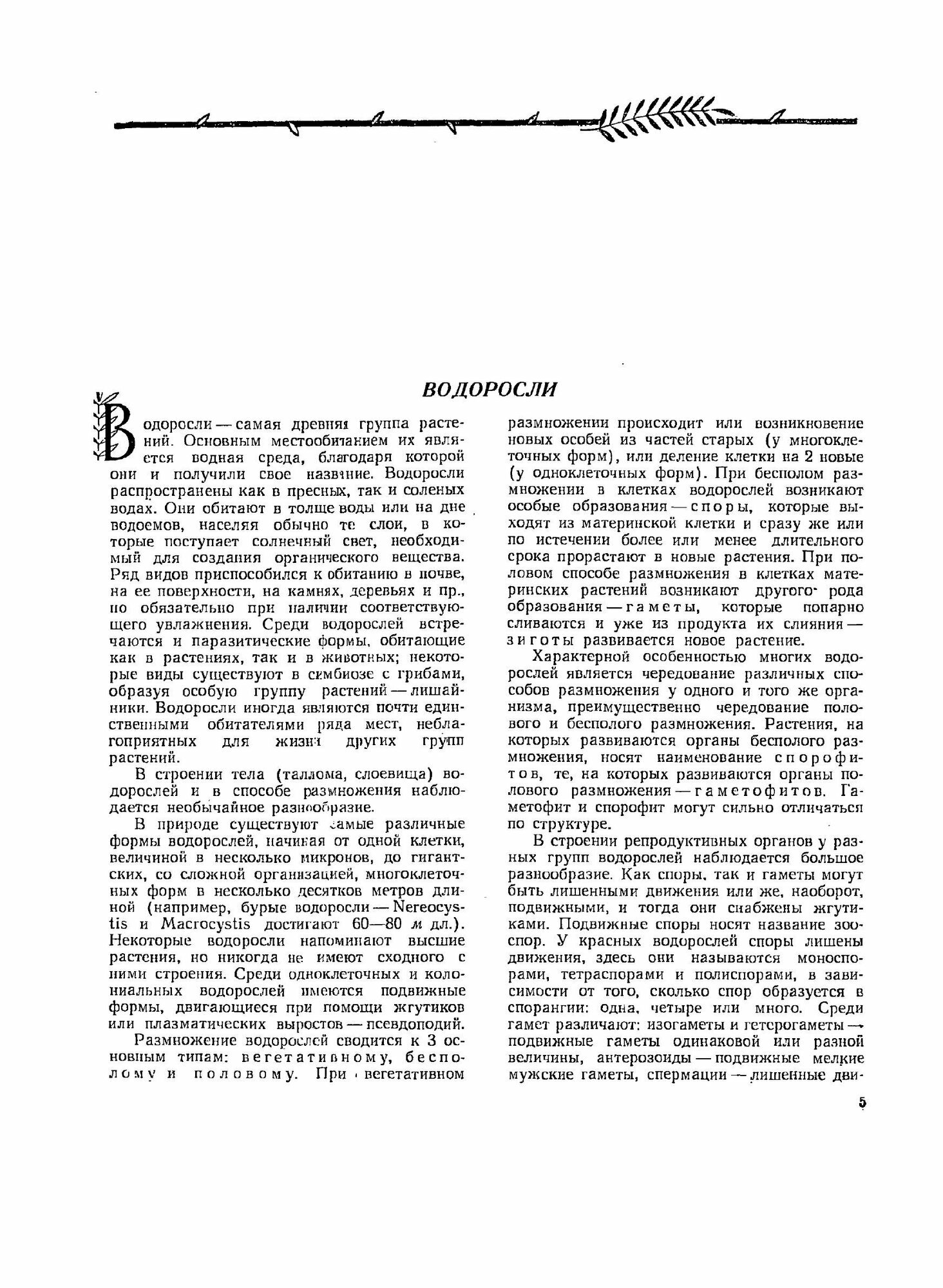 Ботанический атлас — фото 1