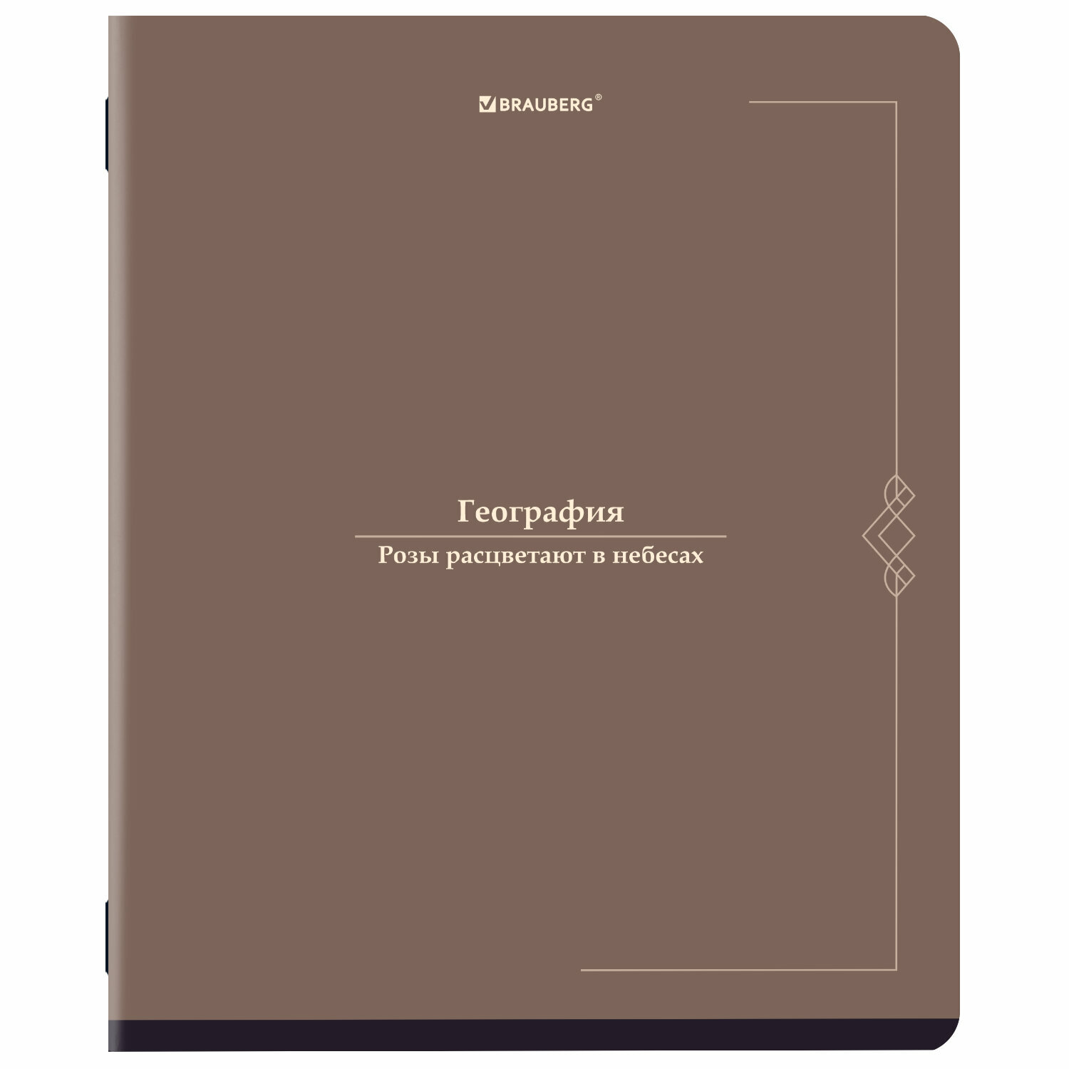 Тетрадь предметная VINTAGE 48 л, SoftTouch, география, клетка, подсказ, BRAUBERG, 405152