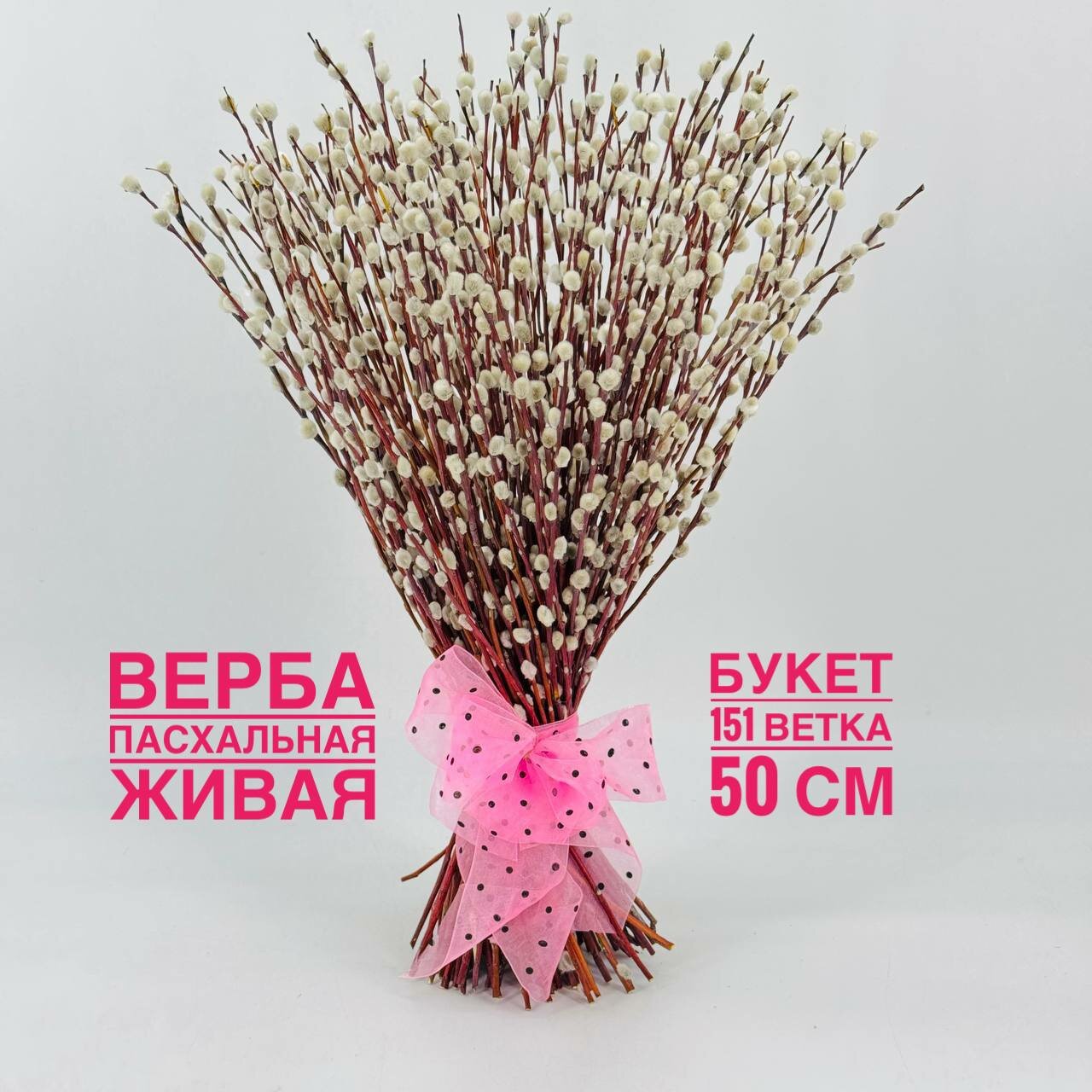 Пасхальный букет вербный. Верба живая красноталка