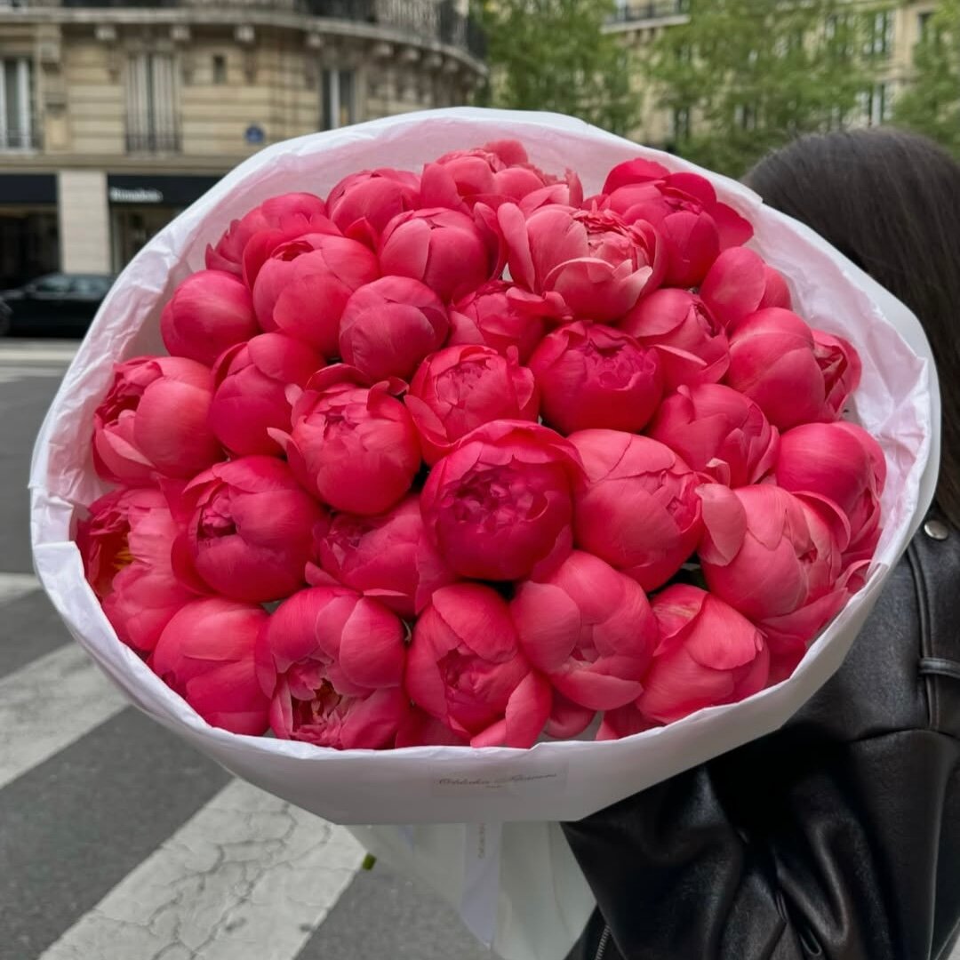 Букет из коралловых пионов 29 шт, красивый букет цветов, шикарный, премиум цветы, премиум букет