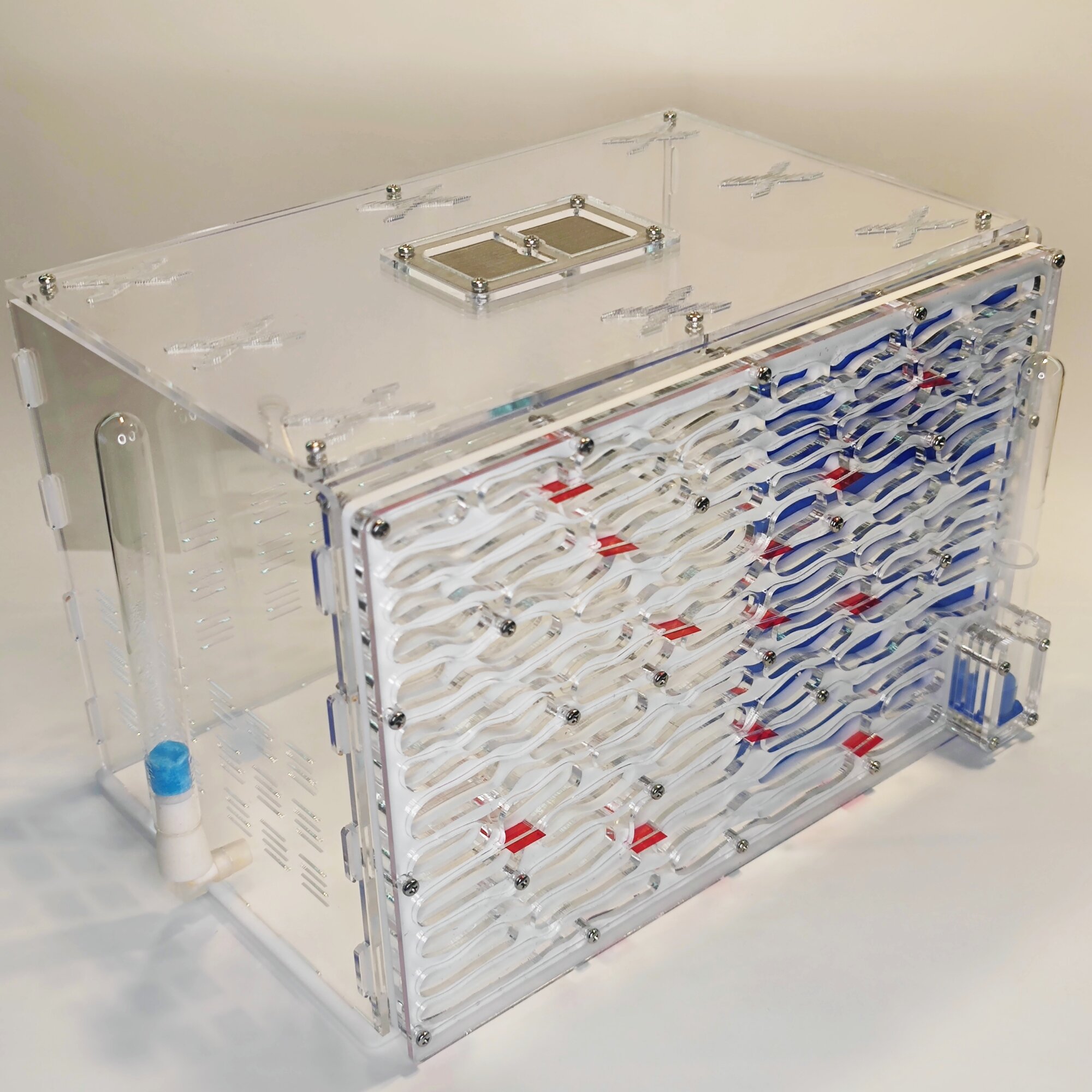 Муравьиная ферма Рet X9 Antlife.r в собранном виде + антипобег! Колония муравьёв M. Structor - в подарок!