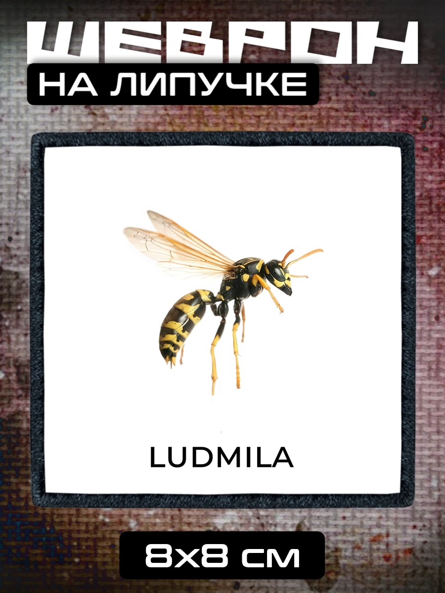 Шеврон на липучке Жук Люда