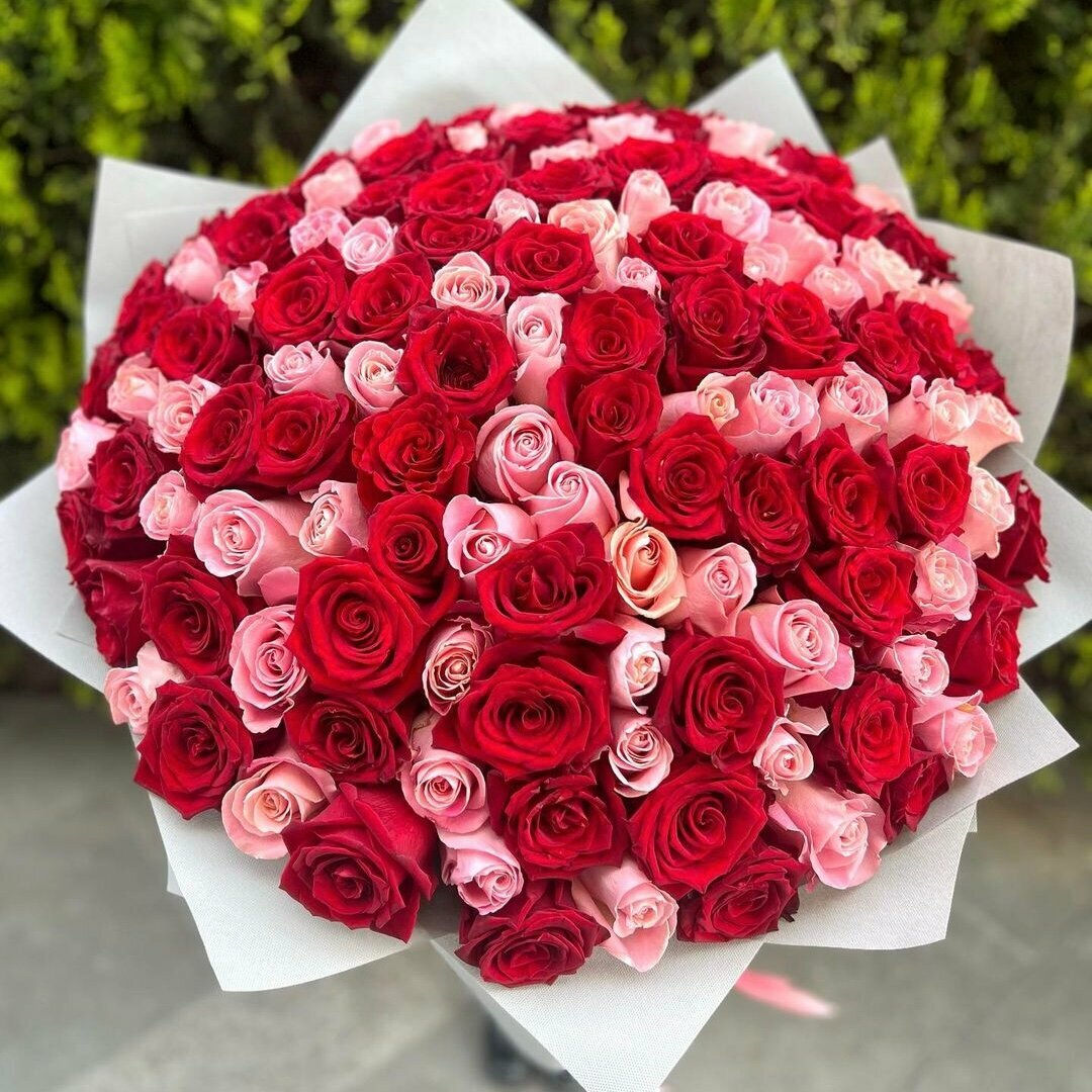 Букет из роз 101 шт, красивый букет цветов, шикарный, премиум цветы, премиум букет