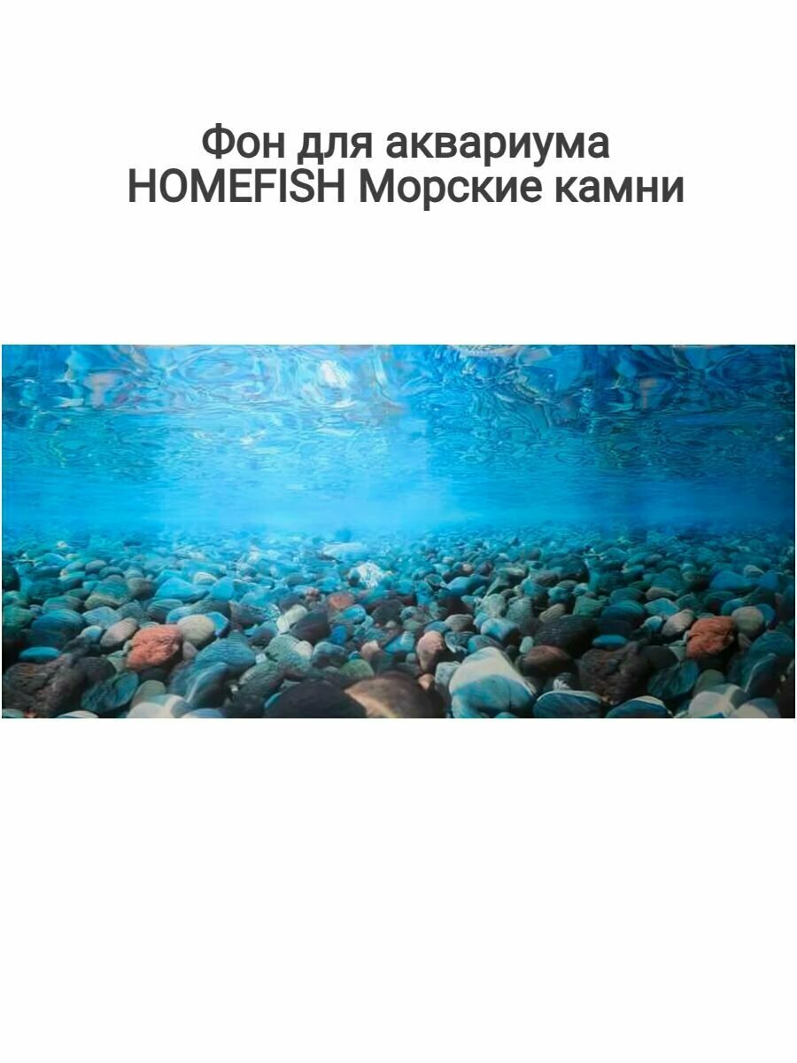HOMEFISH Морские камни 40 см х 1500 см фон для аквариума