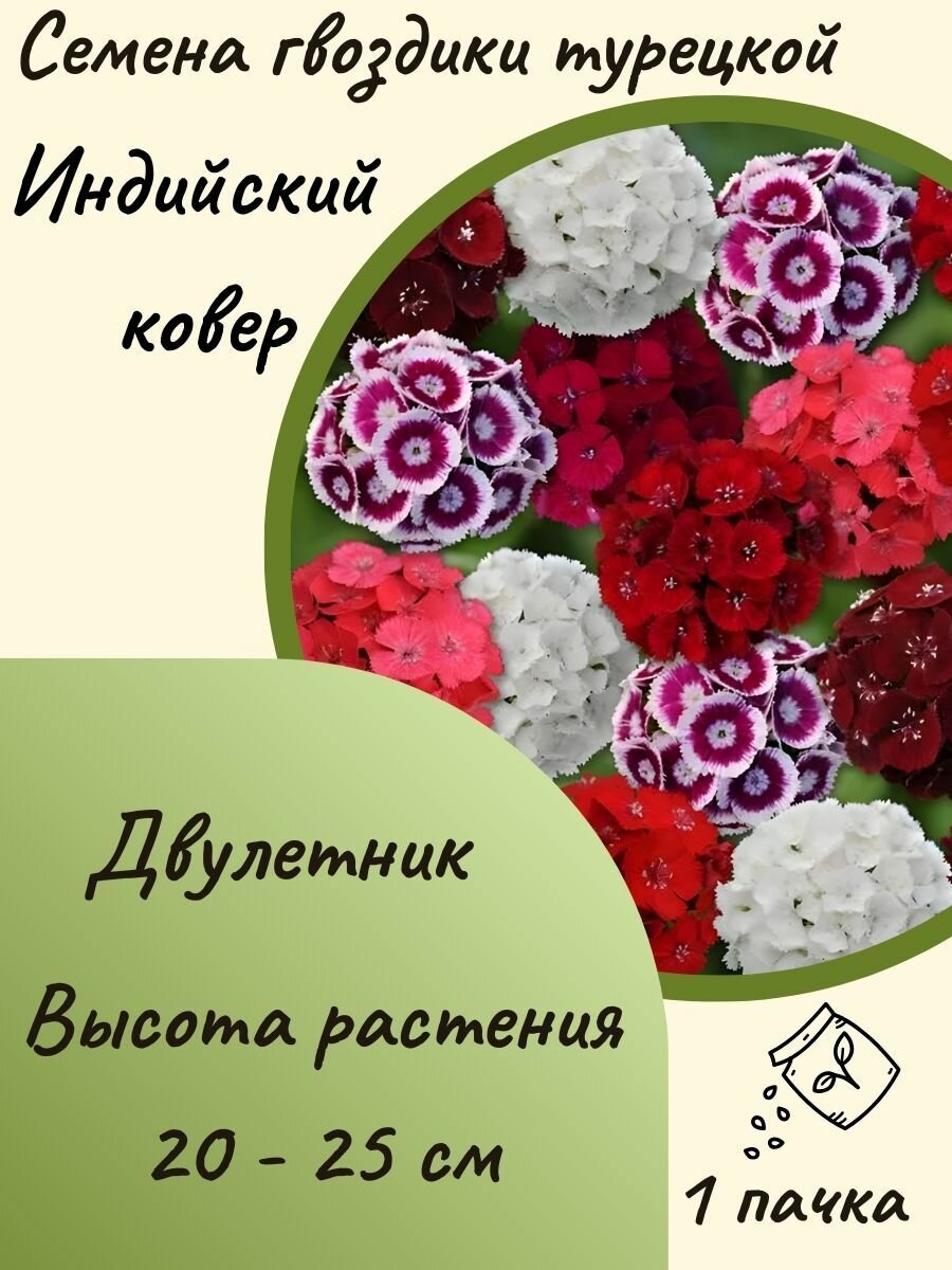 Семена гвоздики турецкой Индийский ковер, 10 шт. семян