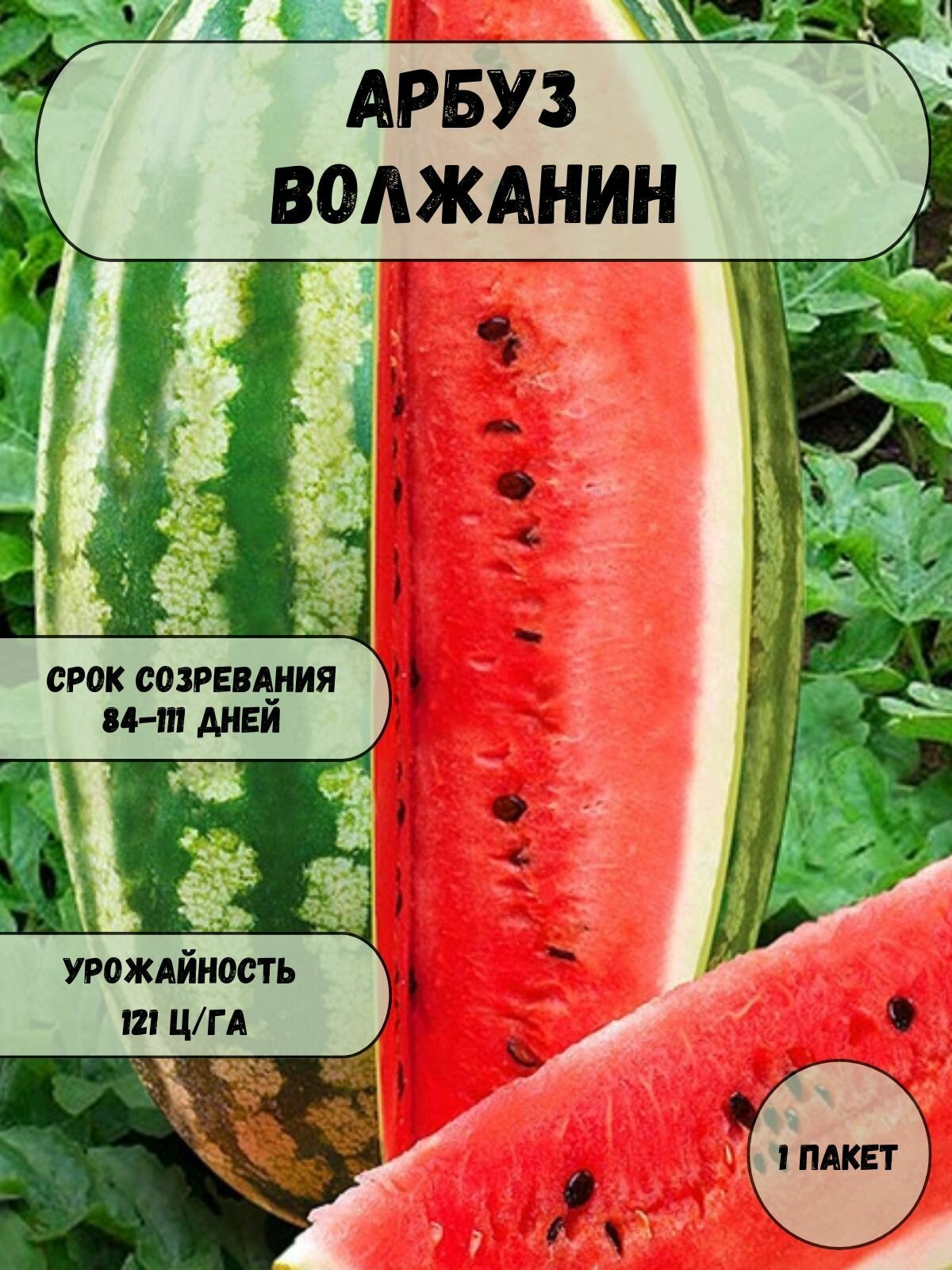 Арбуз Волжанин семена 10 шт