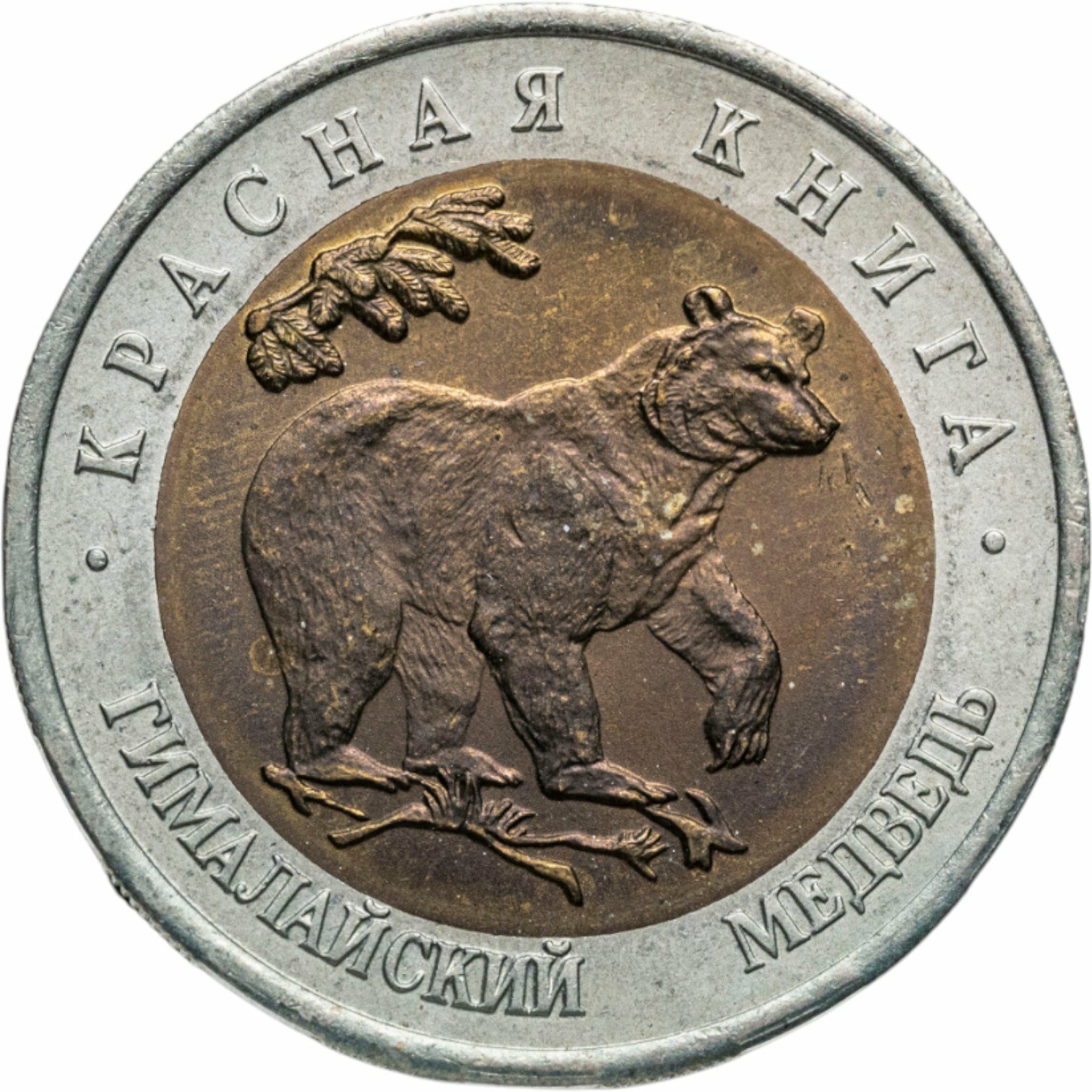 50 рублей 1993 ЛМД Гималайский Медведь - Красная книга, Биметалл, в сохранности AU