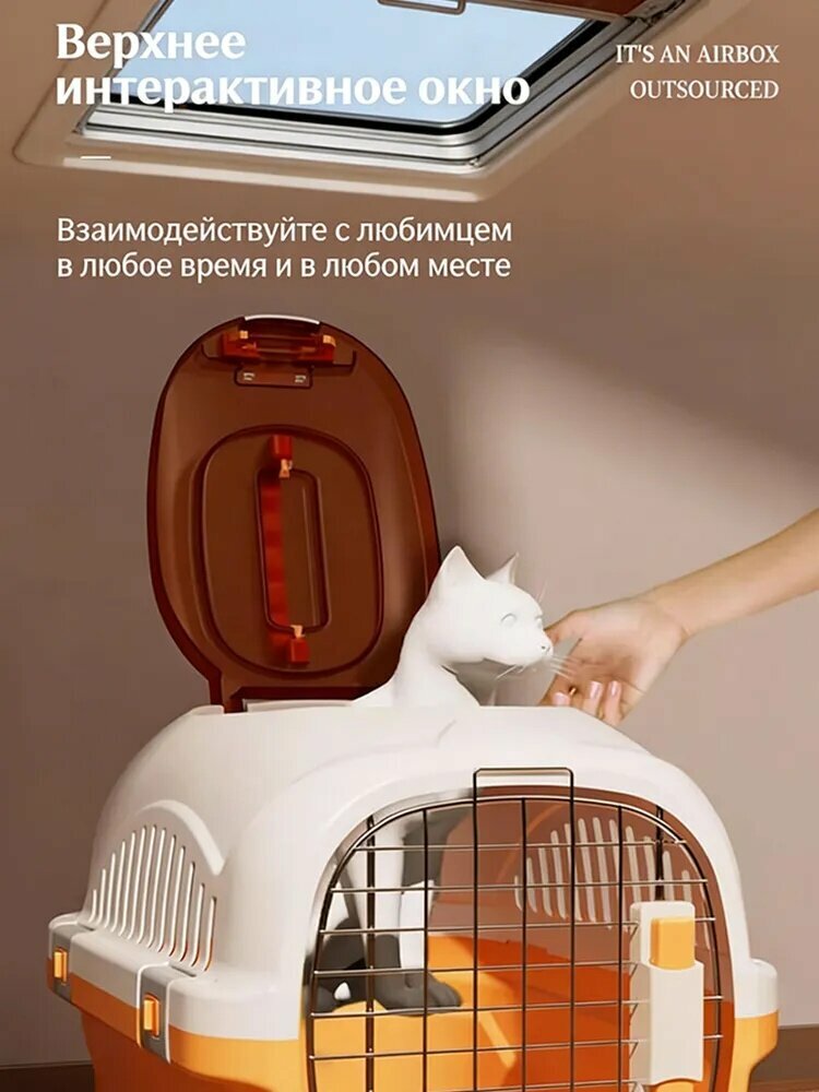 Клетка для кошек с дверцей, клетка для перевозки домашних животных, размер 495x320x326 мм