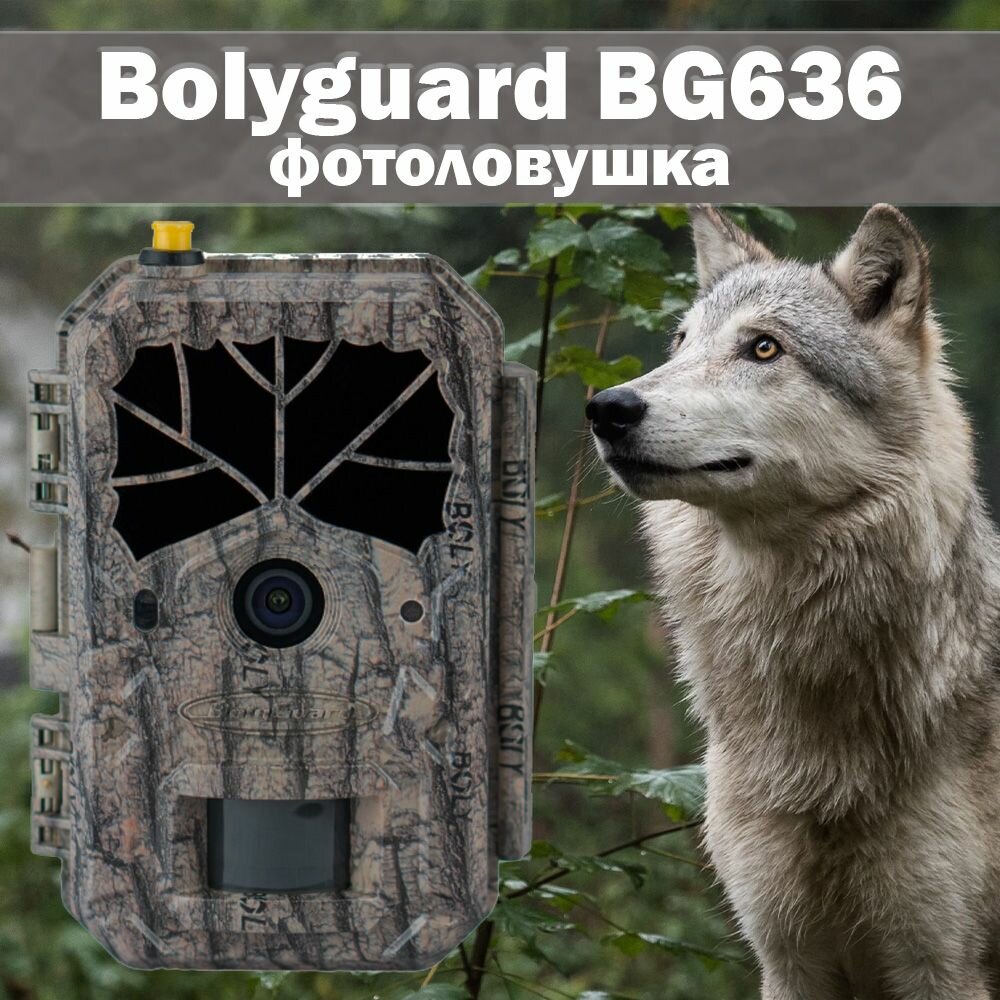 Фотоловушка "Bolyguard BG 636-48M" для дома, дачи, охоты!