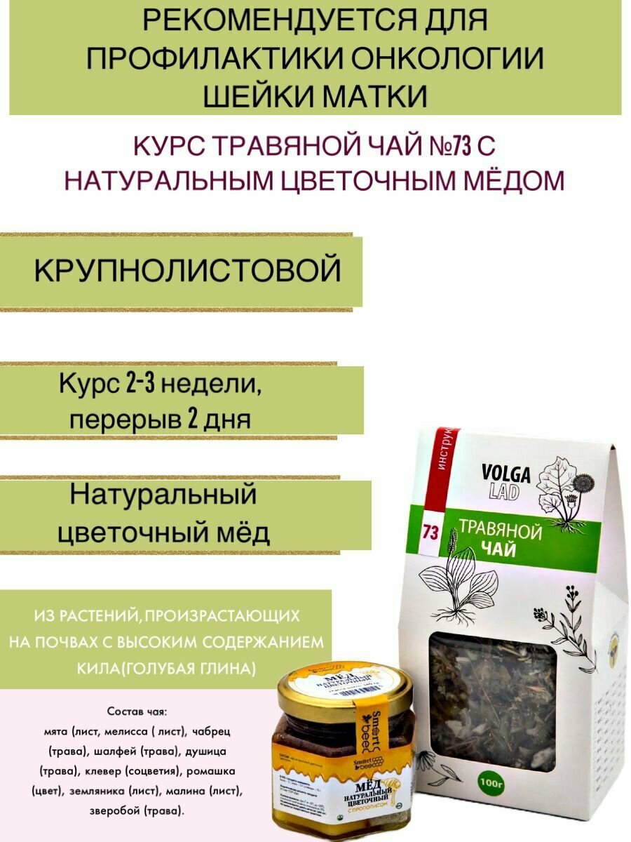 Травяной чай Волгаладь № 73 Тонизирующий с медом цветочным 70/140 г
