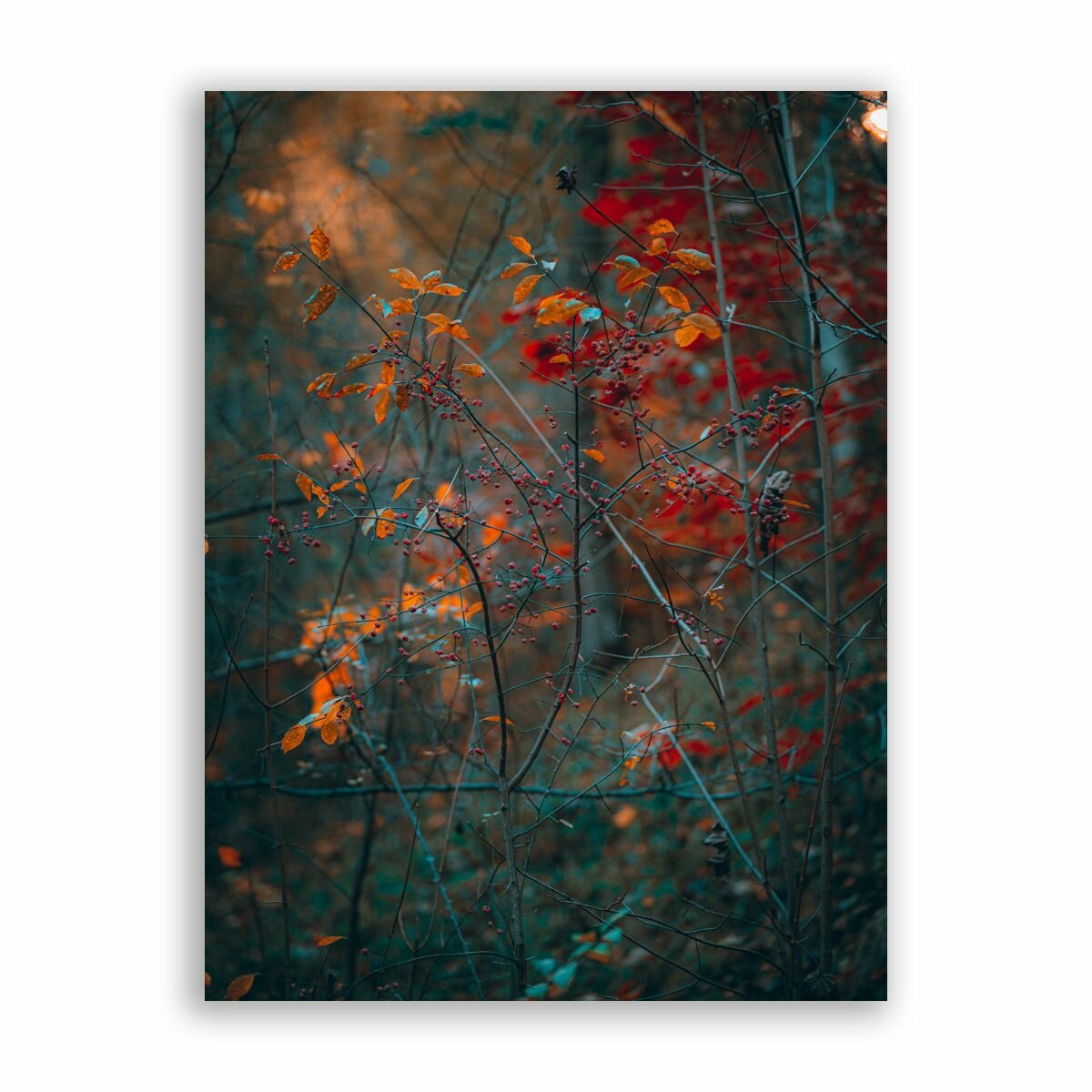 Постер, плакат на бумаге / Ягоды / Размер 40 x 53 см