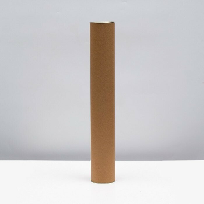 Тубус 73х490 мм (470 мм внутр. Высота) картон, металлическая крышка