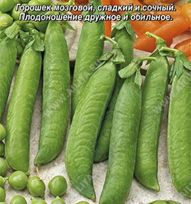 Семена Горох овощной Жемчужина10гр.