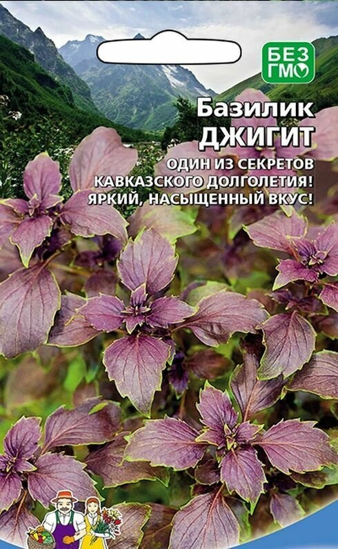 Базилик Джигит