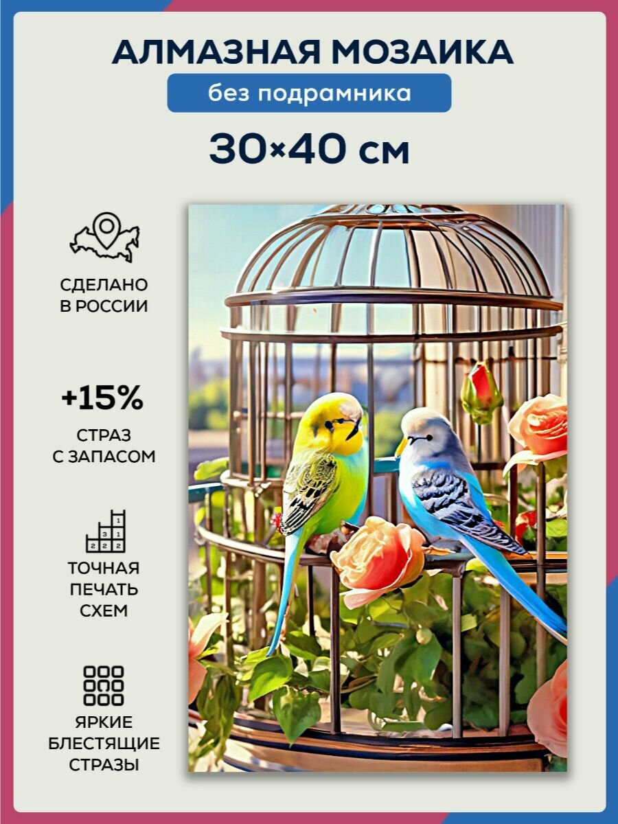 Алмазная мозаика 30x40 Волнистые попугаи без подрамника
