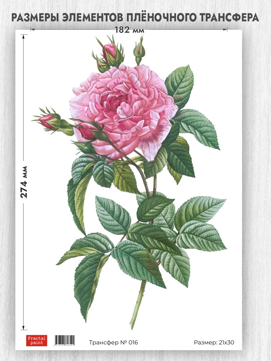 Трансфер для декупажа переводной рисунок для поверхностей 016 (А4)