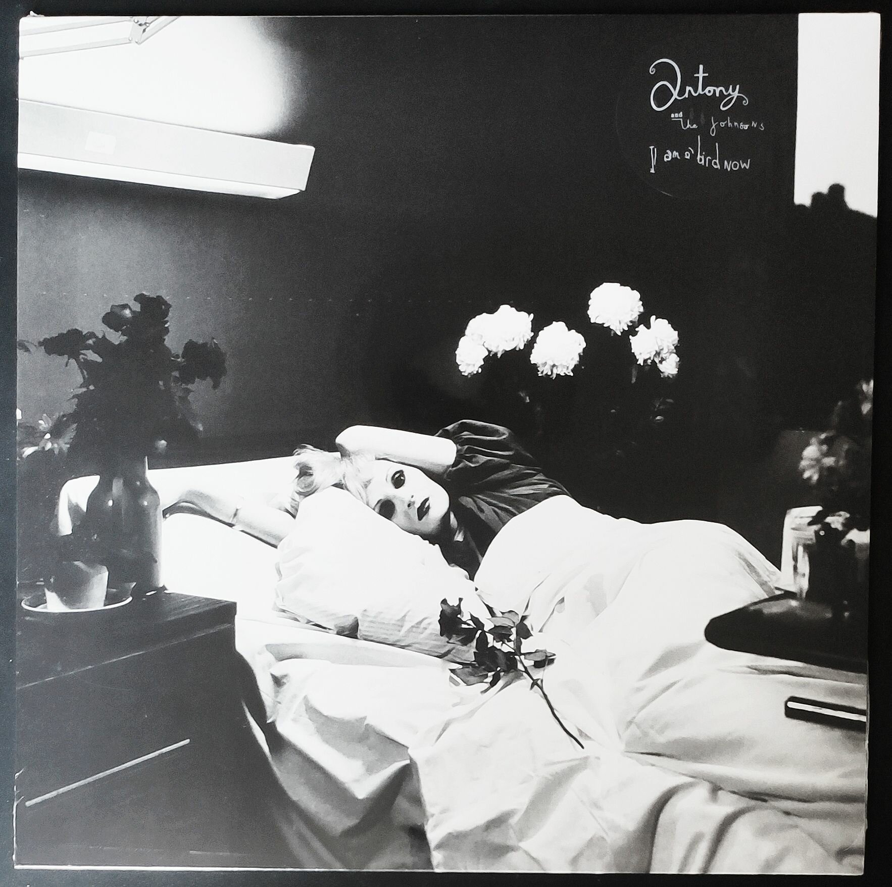 Виниловая пластинка Antony And The Johnsons - I Am A Bird Now (LP, EU, 2016)
