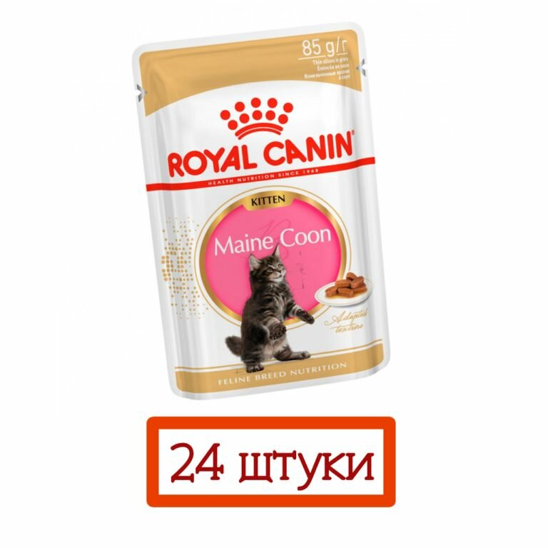 Royal Canin Maine Coon Kitten (соус) влажный корм для котят породы Мейн кун 24 шт паучей в упаковке