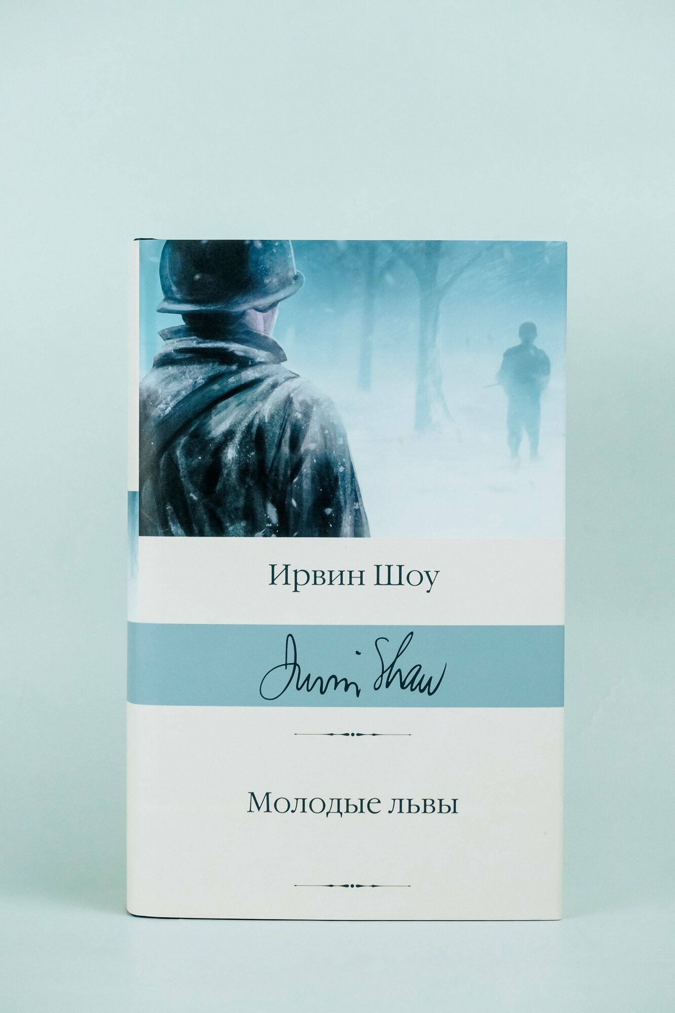 Молодые львы — фото 1