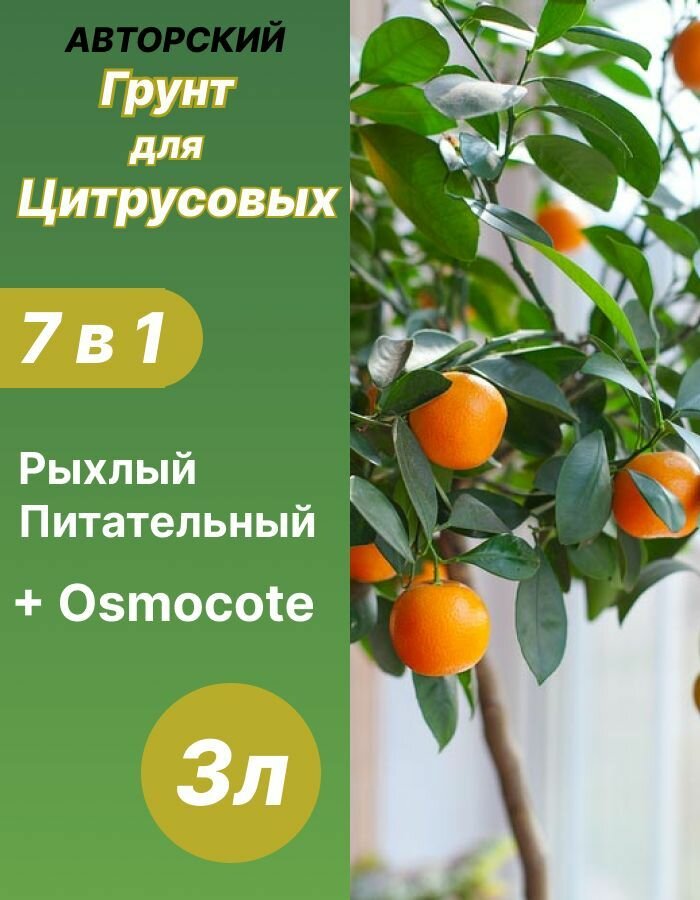 Грунт для Цитрусовых 3л готовый