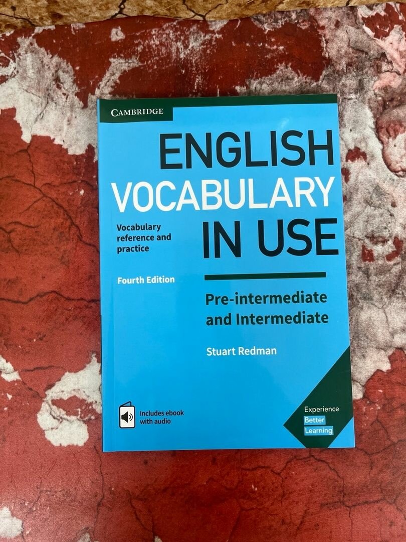 English vocabulary in use pre-intermediate and intermediate book