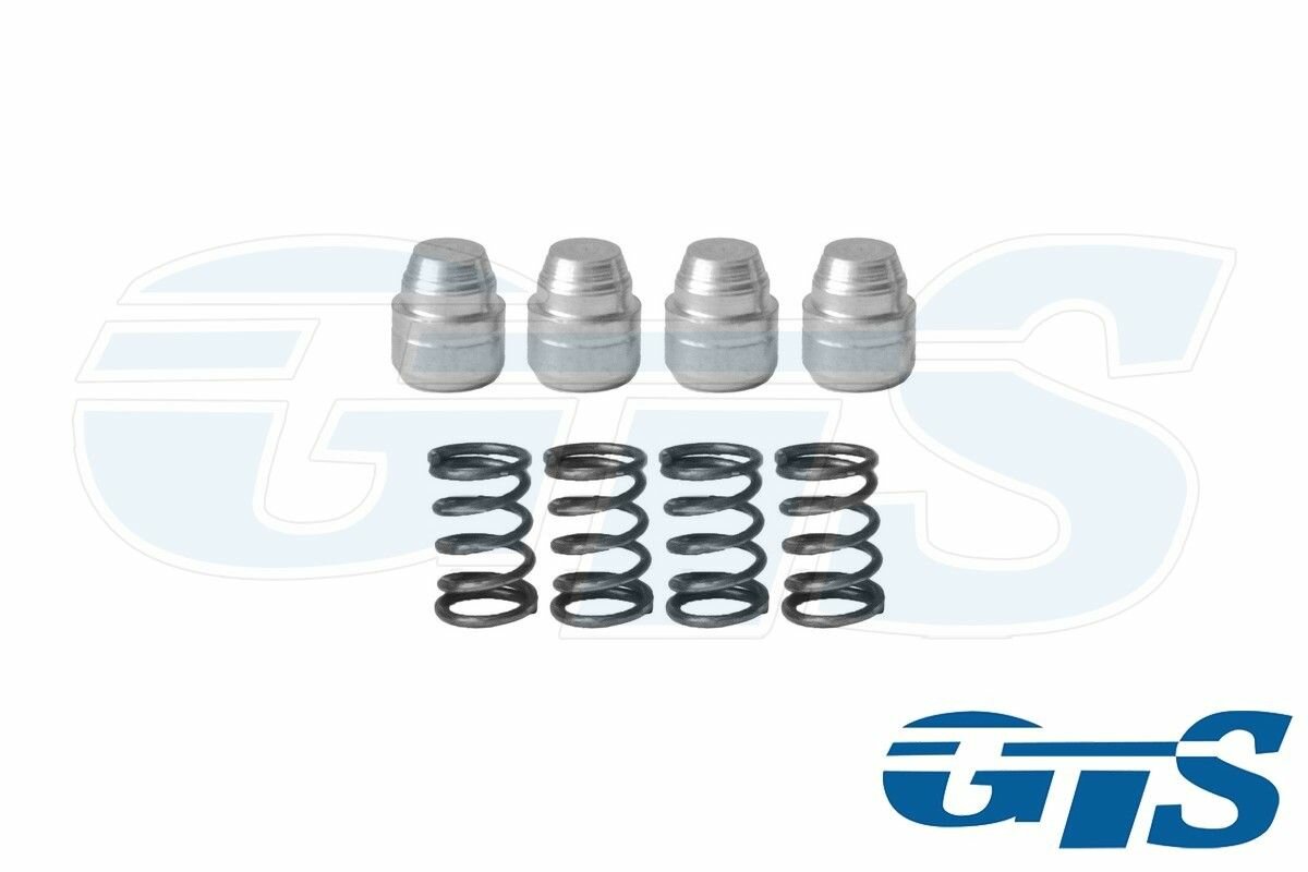 Фиксатор переднего тормозного цилиндра с пружиной (2101350105960)