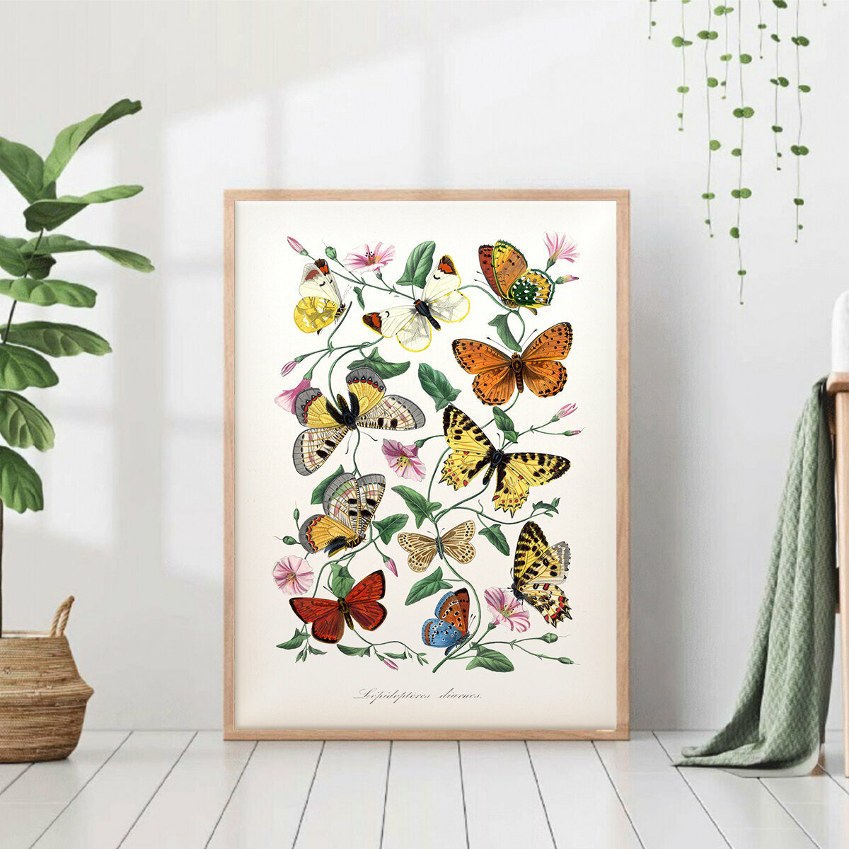 Постер "Бабочки иллюстрация" без рамы 40x50 см на стену для интерьера