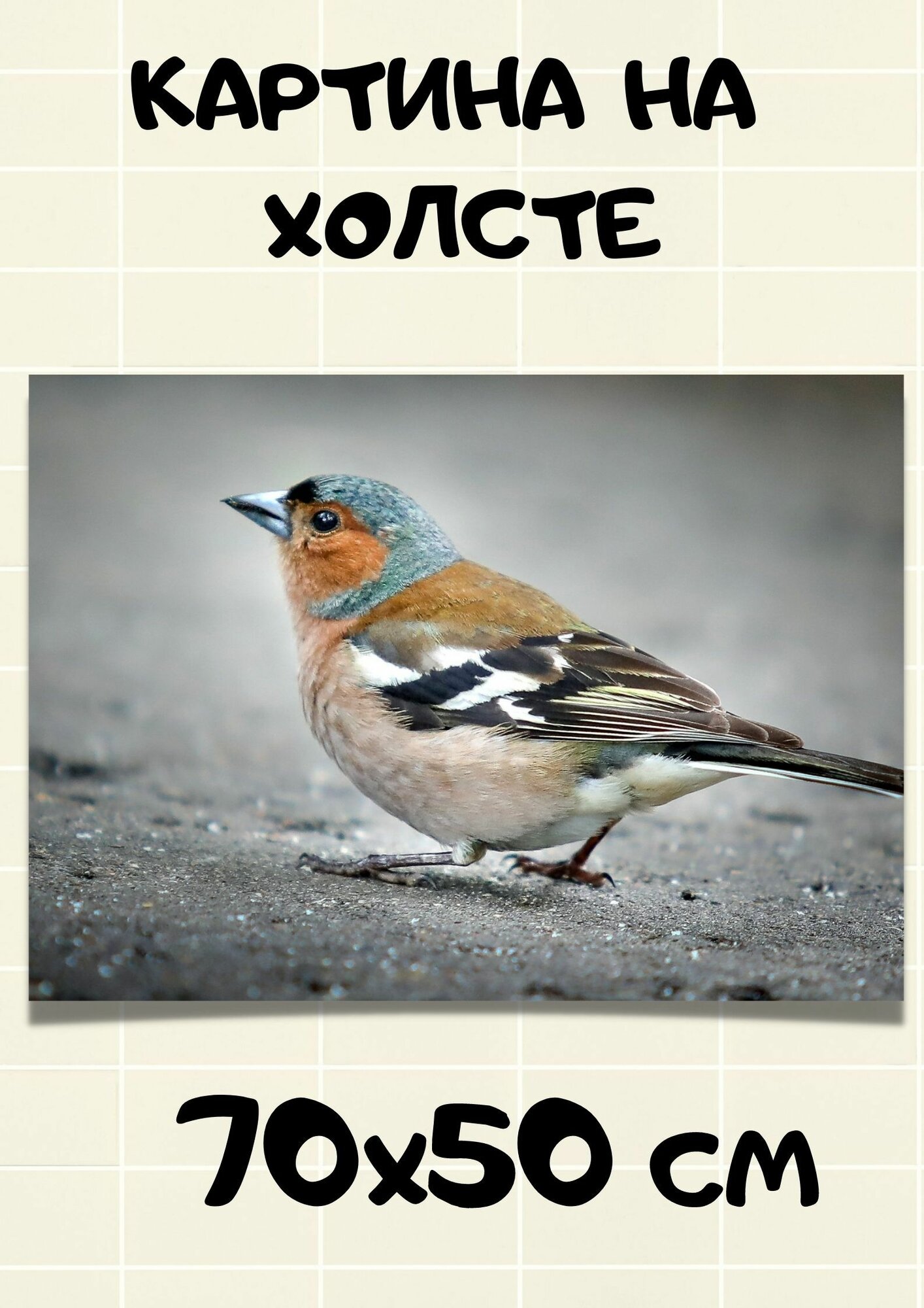 Картина с птицами "Цветной воробушек" 70х50 см холст