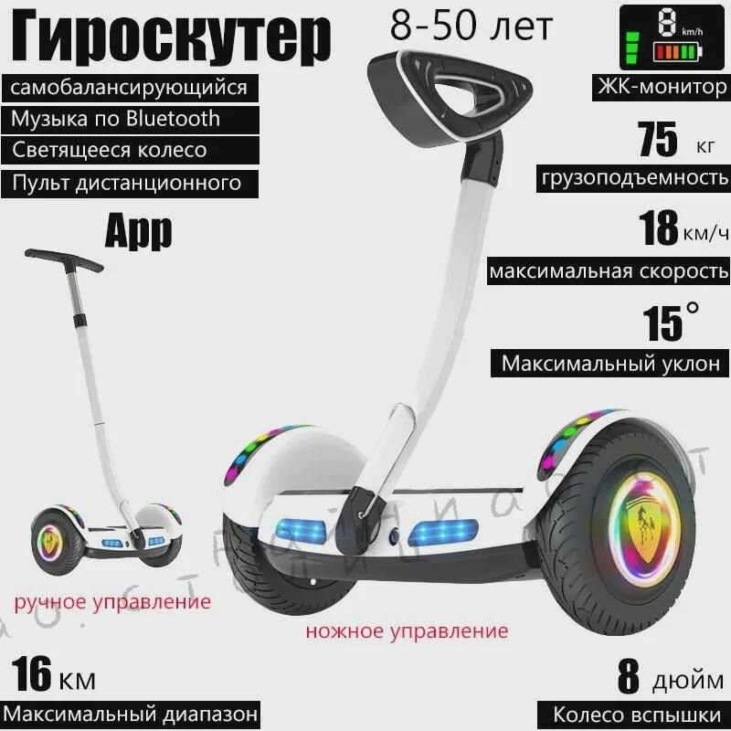 Гироскутер12