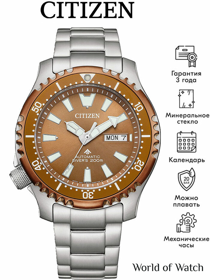 Наручные часы Promaster