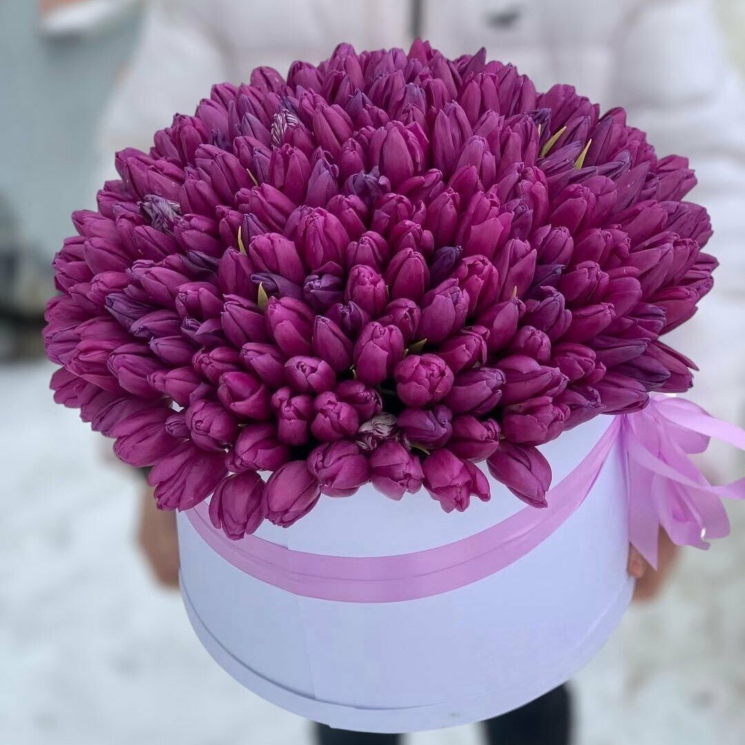 Букет из фиолетовых тюльпанов 301 шт в шляпной коробке, красивый букет цветов, шикарный, премиум цветы, премиум букет