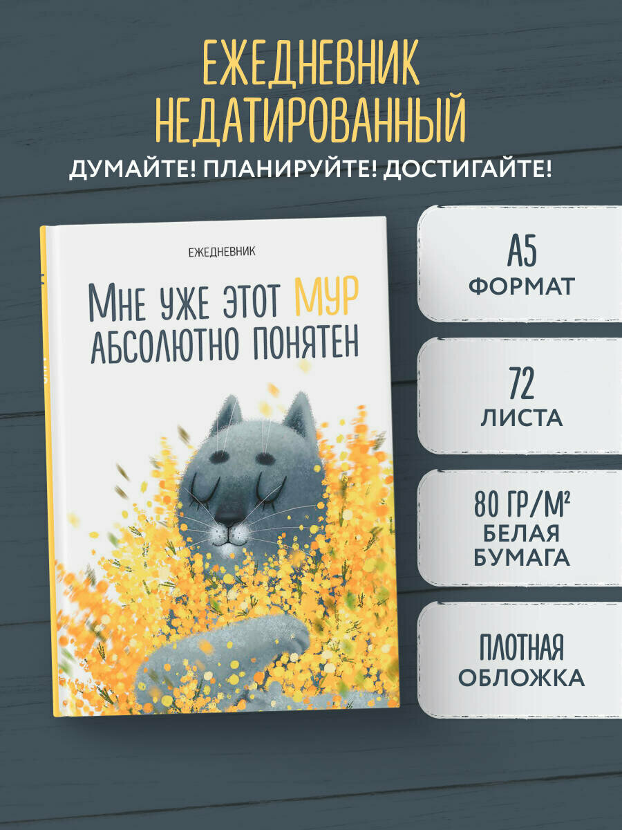 Лемешева К. Д. Мне уже этот МУР абсолютно понятен. Ежедневник недатированный (А5, 72 л.)