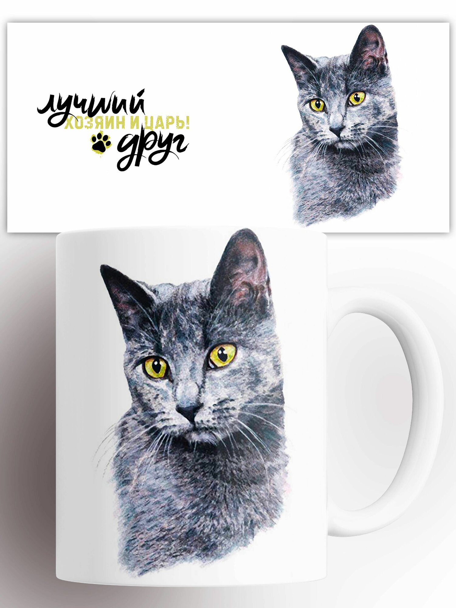 Кружка Русская голубая кошка cat друг человека хозяин и царь кошкалюб с принтом 330 мл