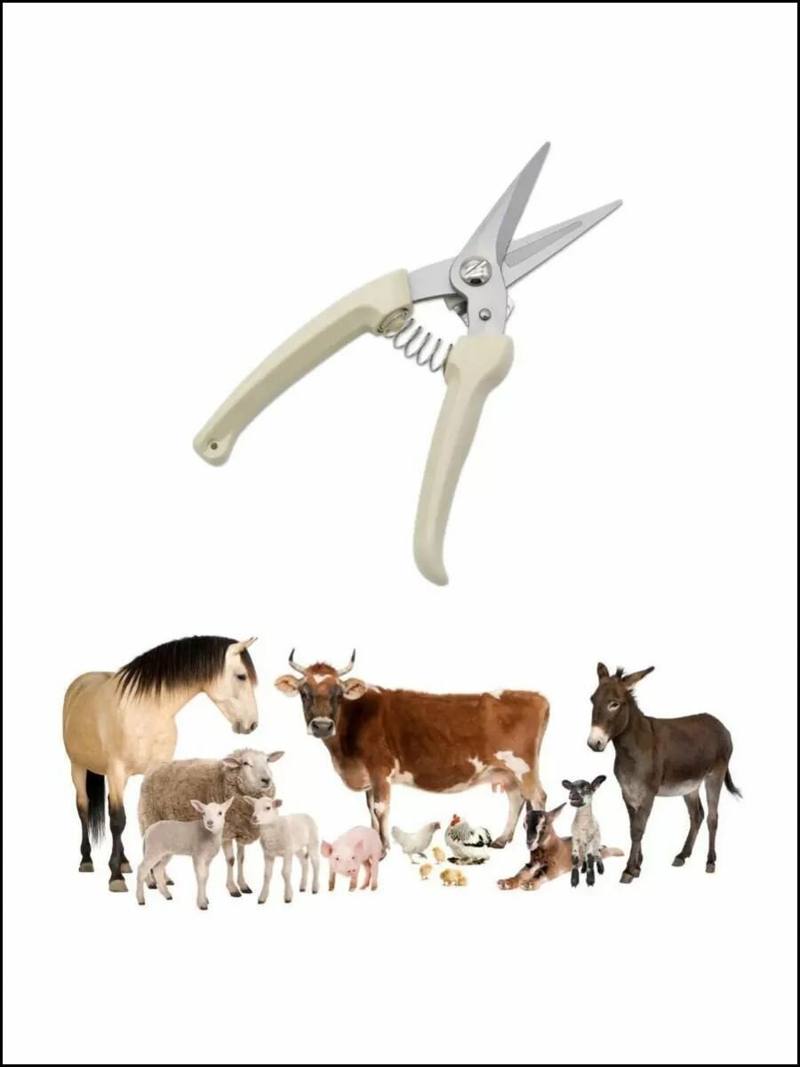 Бестселлер для обрезки копыт овец, коз