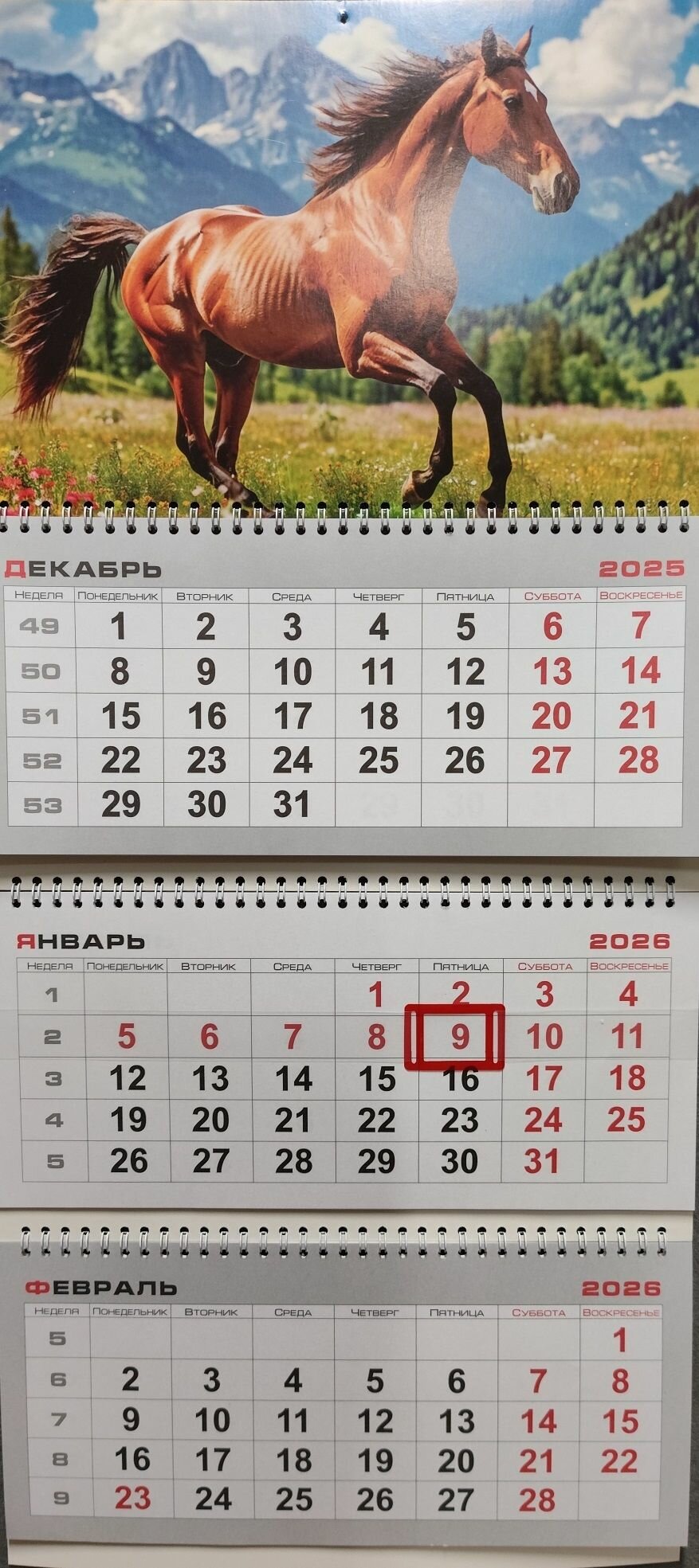 Квартальный календарь трио Символ года 2026 г. - "Лошадь в горах"