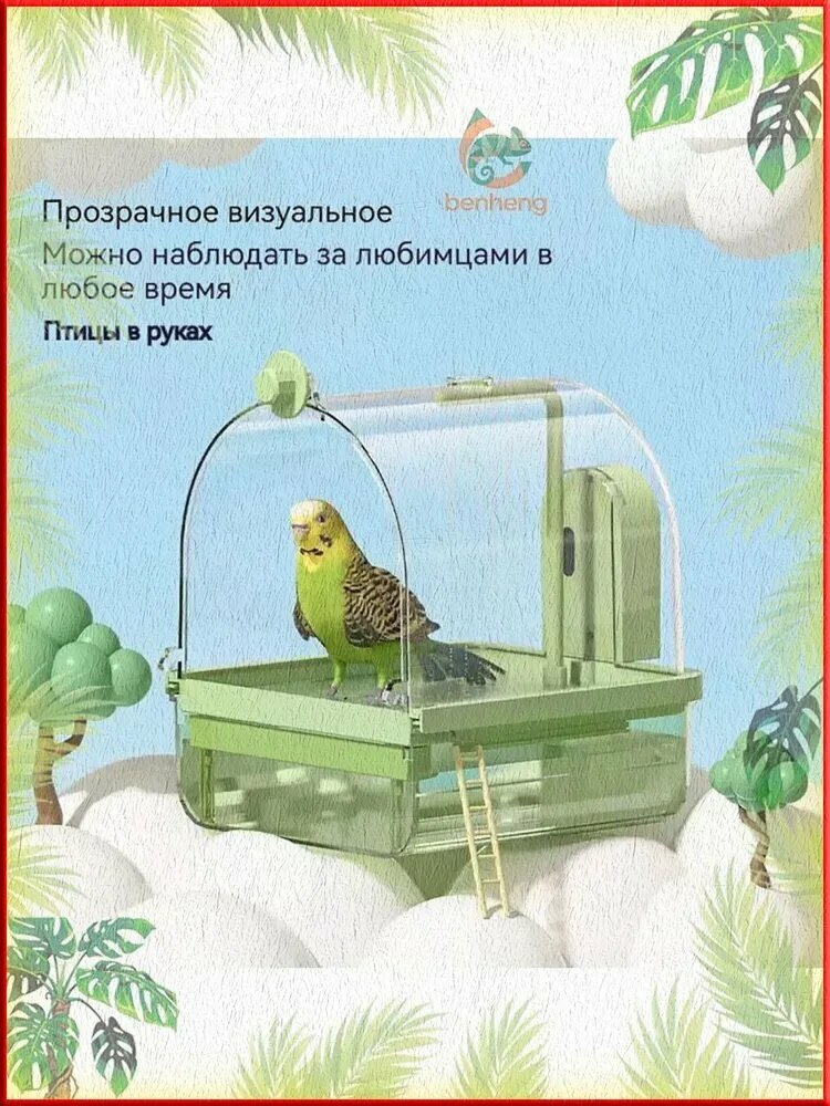 Ванна для попугаев, сенсорный выход, зеленая, большой бассейн с резервуаром