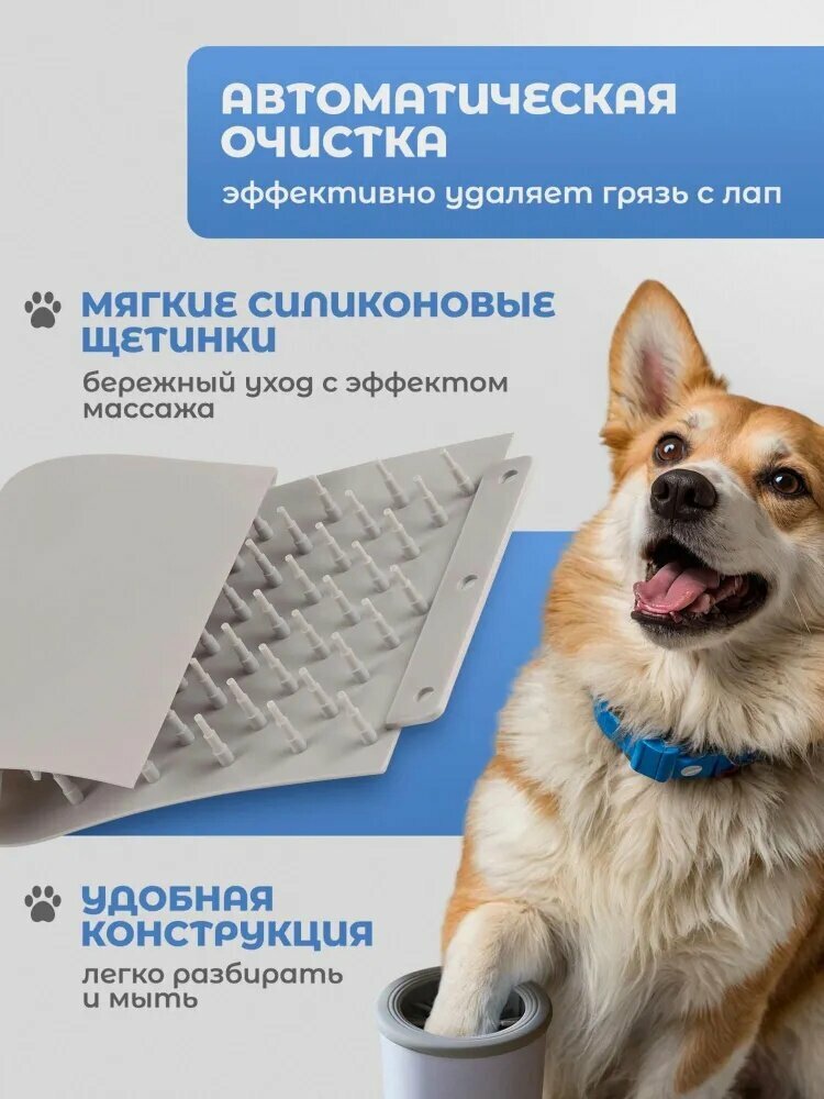 Лапомойка — фото 1