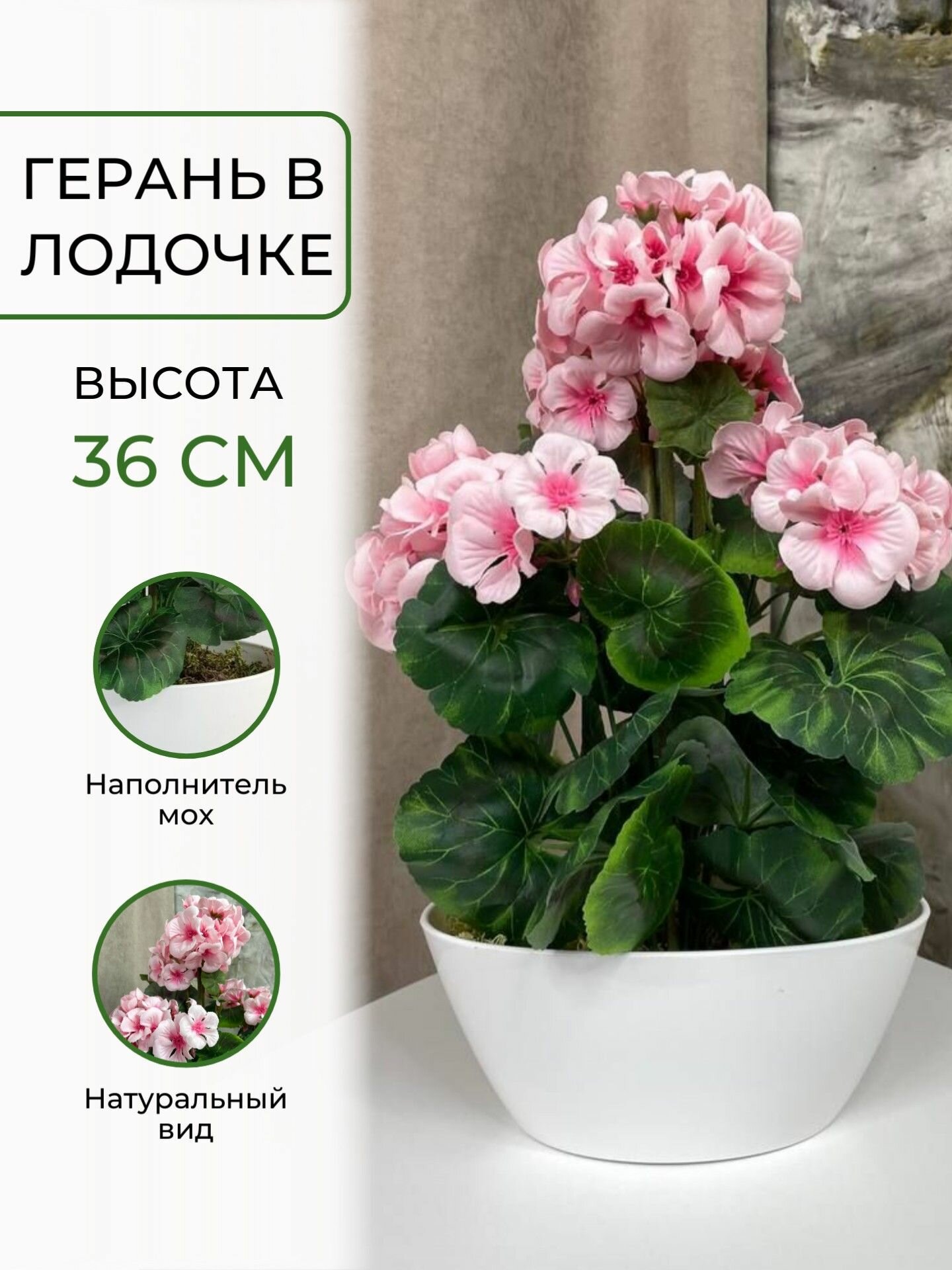 Герань в лодочке 1 шт