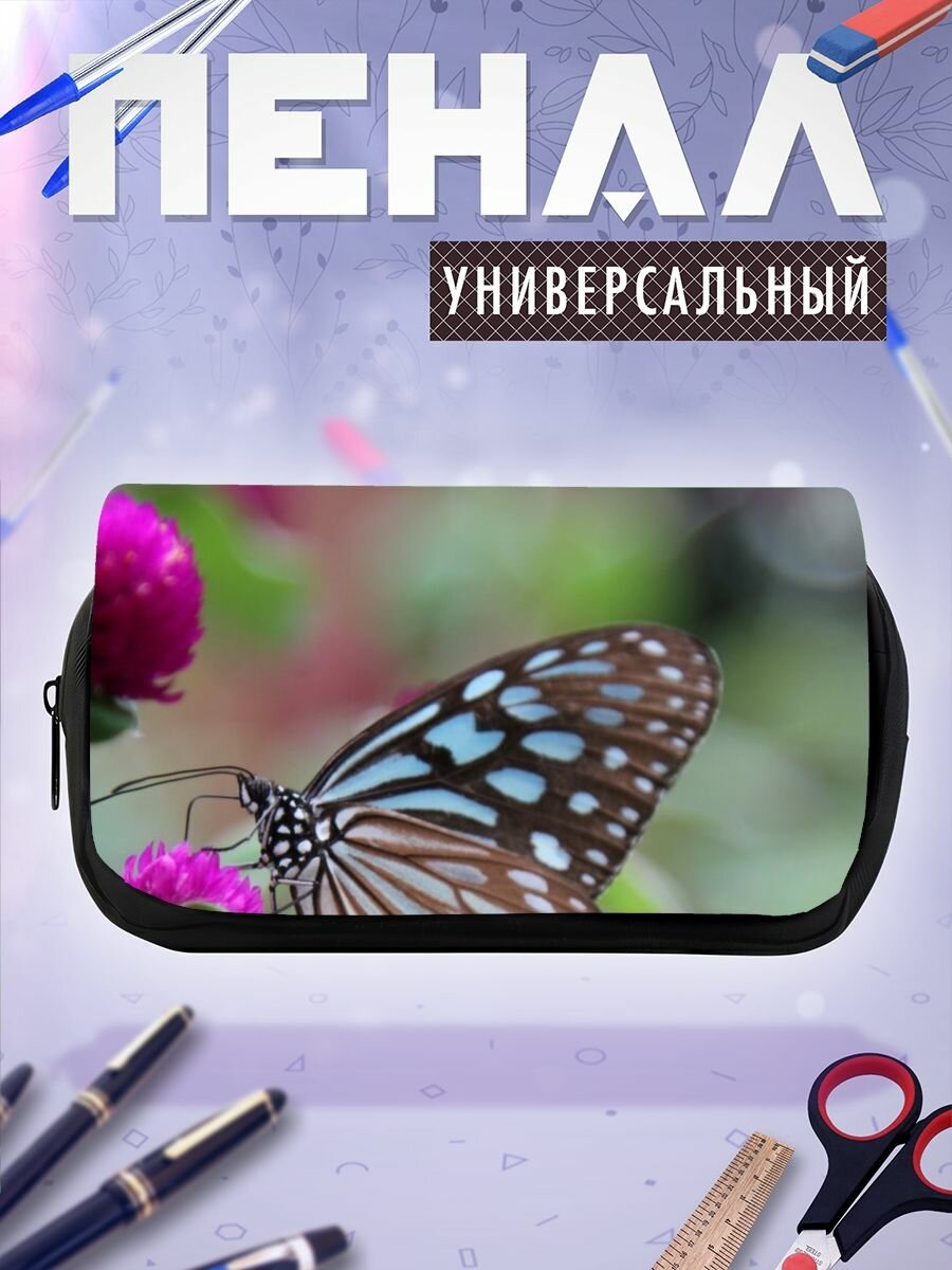 Школьный пенал мотыльки и бабочки бабочка