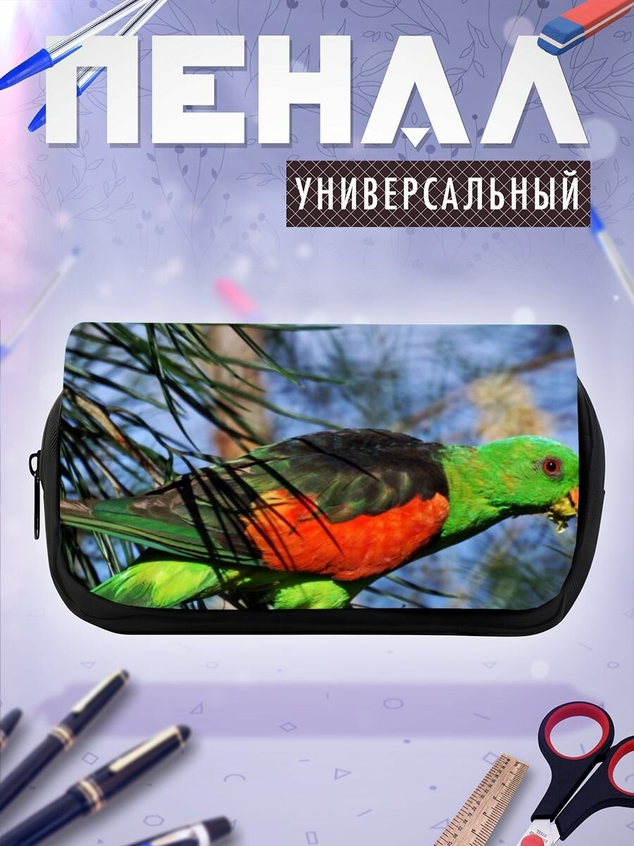 Школьный пенал Красный-крылатый попугай птица