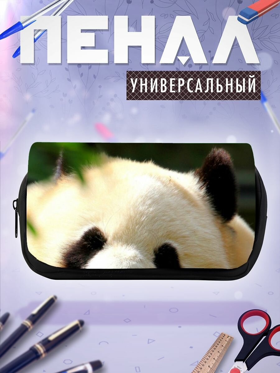 Школьный пенал гигантская панда наземные животные