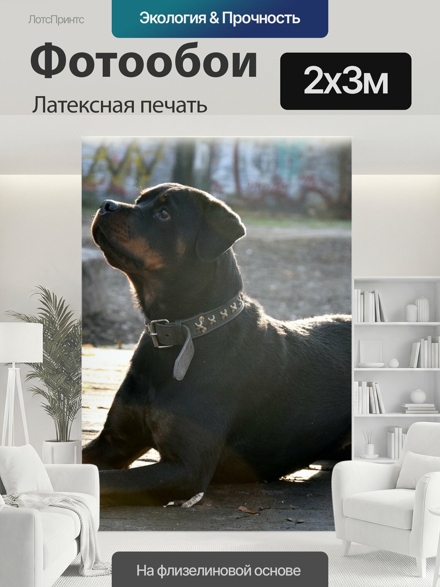 Фотообои моющиеся ударопрочные "Ротвейлер, собака, туман" 200x300 см. латексная печать