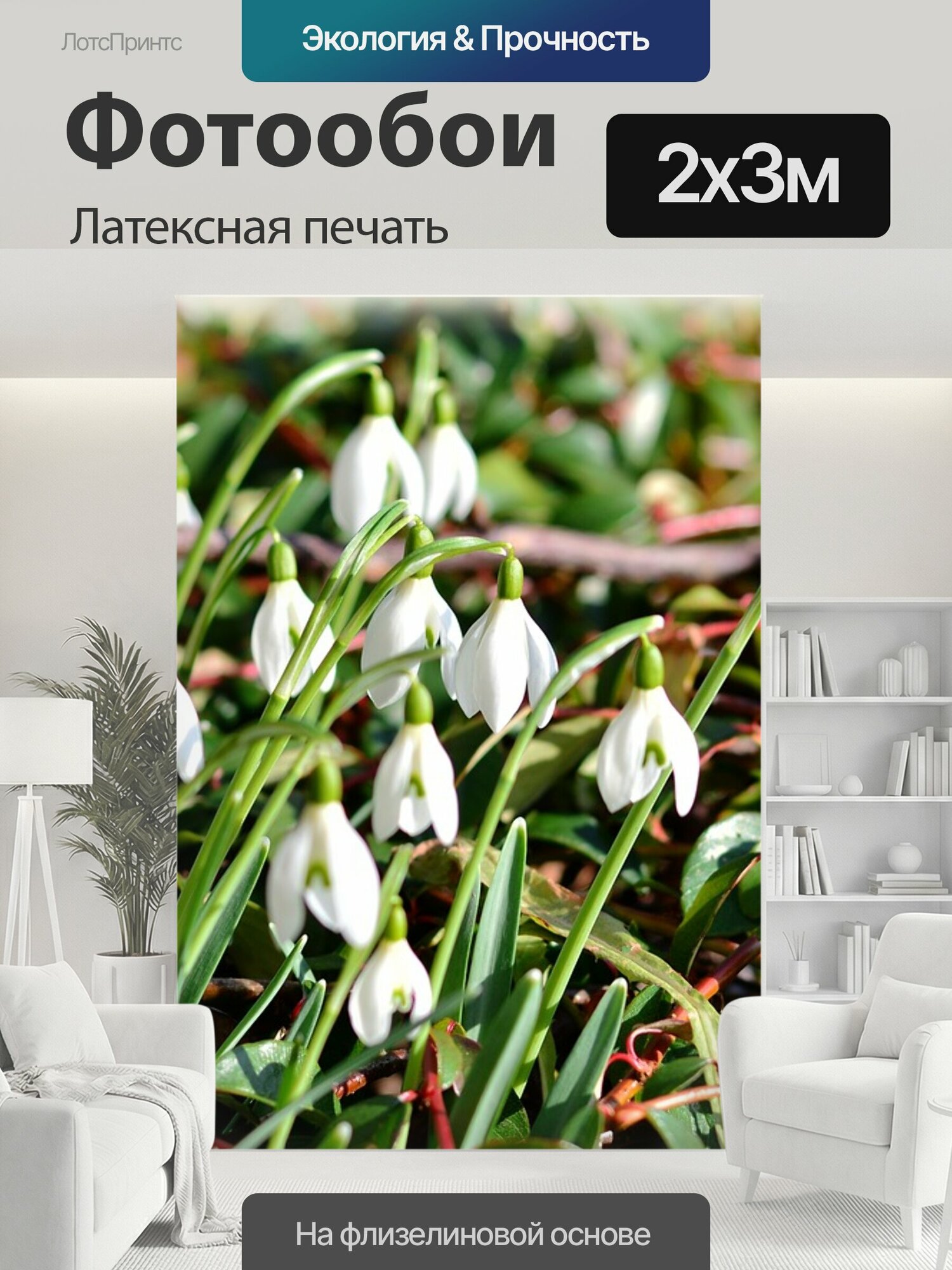 Фотообои моющиеся ударопрочные "Подснежник, весна, весенние цветы" 200x300 см. латексная печать