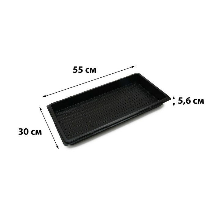 Поддон для рассады, 55 × 30 × 5,6 см, пластик, чёрный, Greengo, 9683174