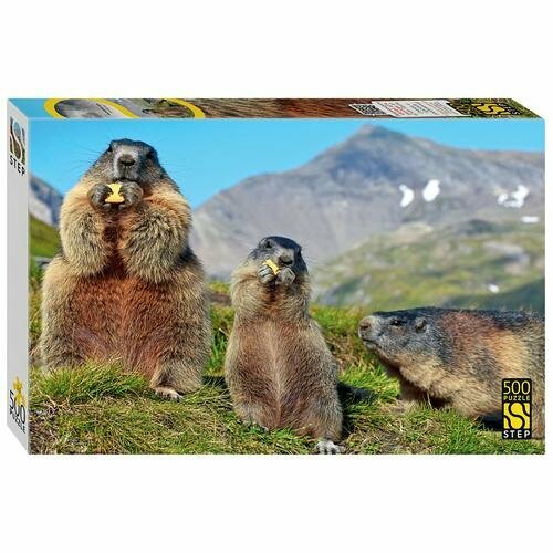 Мозаика "puzzle" 500 "Альпийские сурки