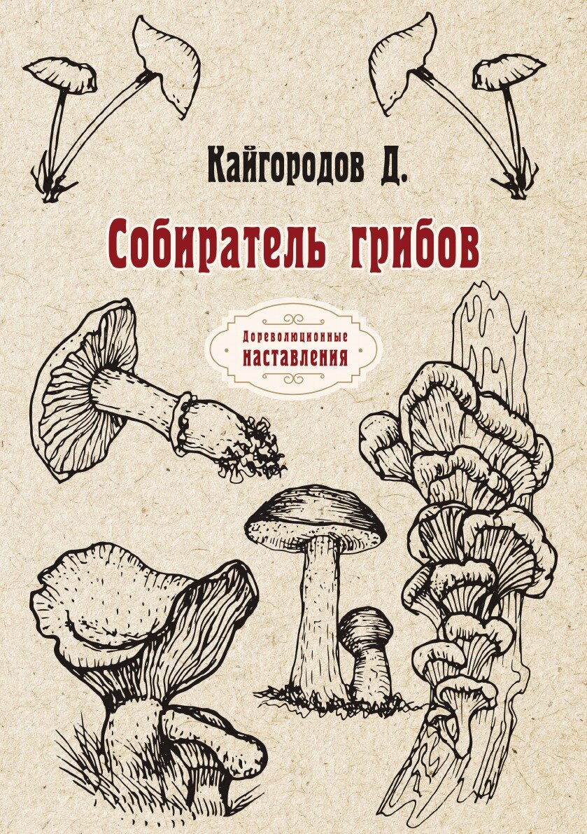 Собиратель грибов — фото 1
