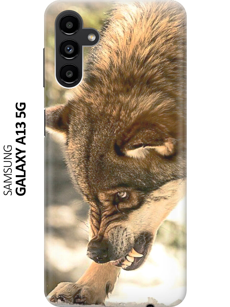 Силиконовый чехол Лютый волк на Samsung Galaxy A13 5G / Самсунг А13